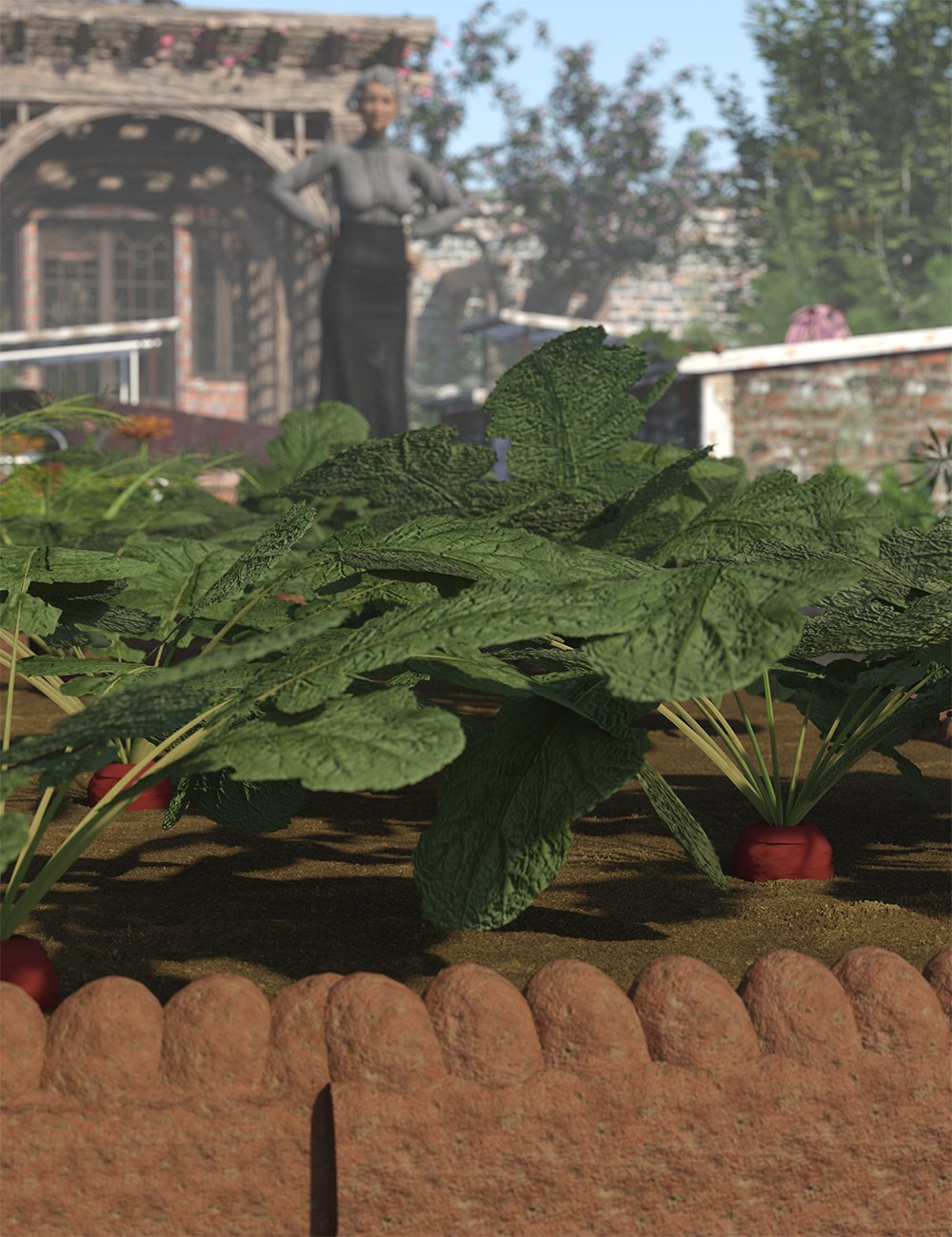 Veg Patch - Radish | Daz 3D