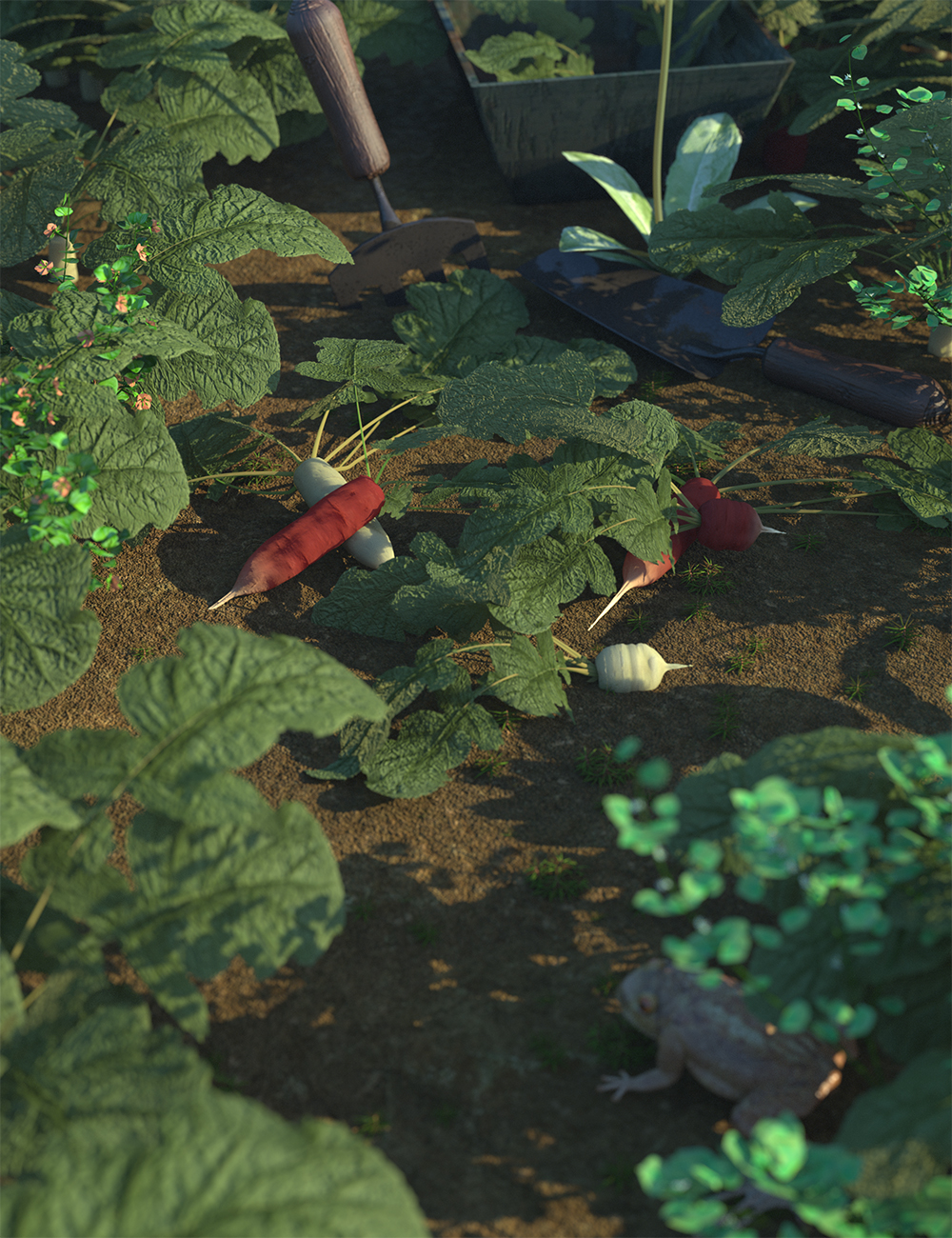 Veg Patch - Radish | Daz 3D