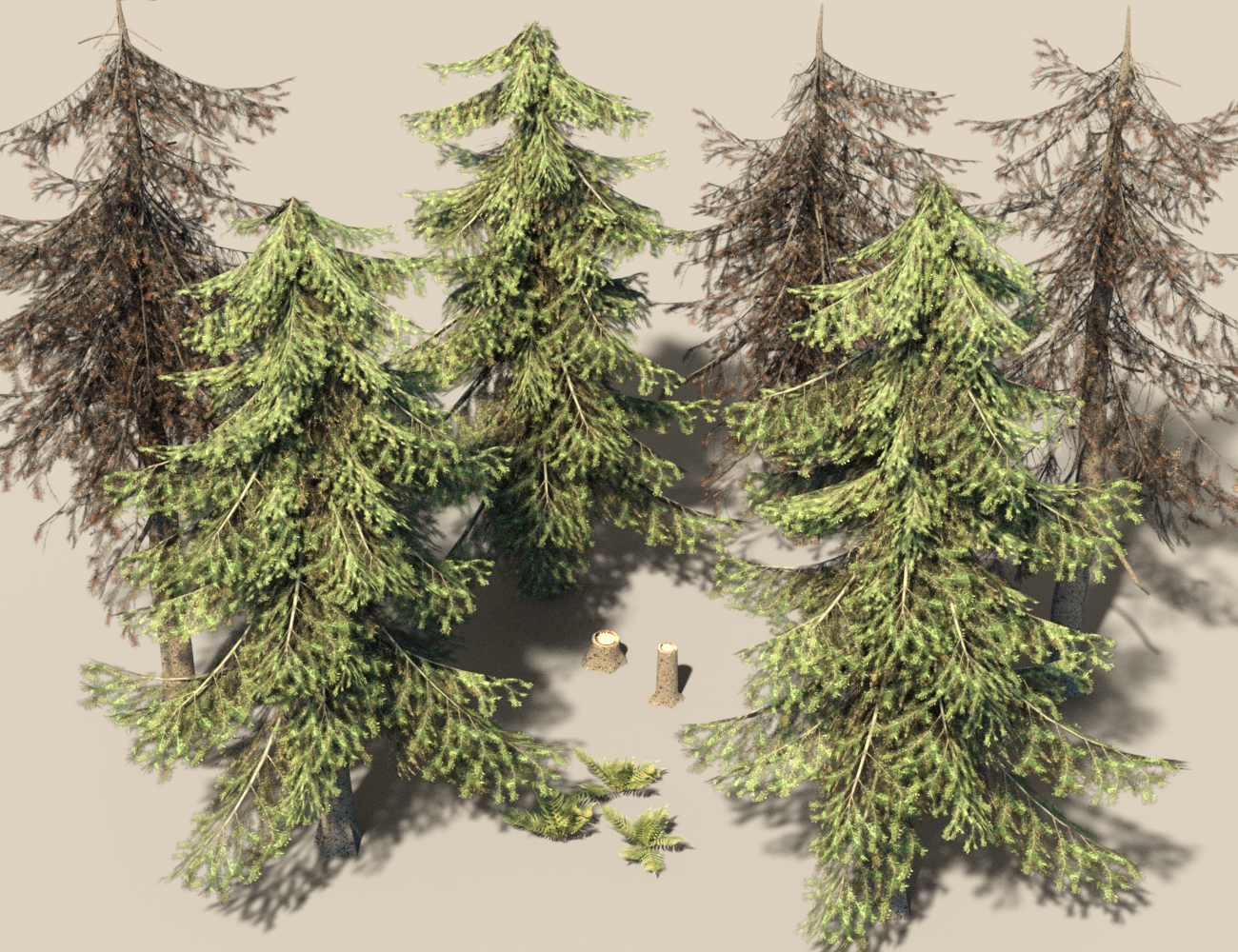 From Above: Low Poly Forest | Daz 3D