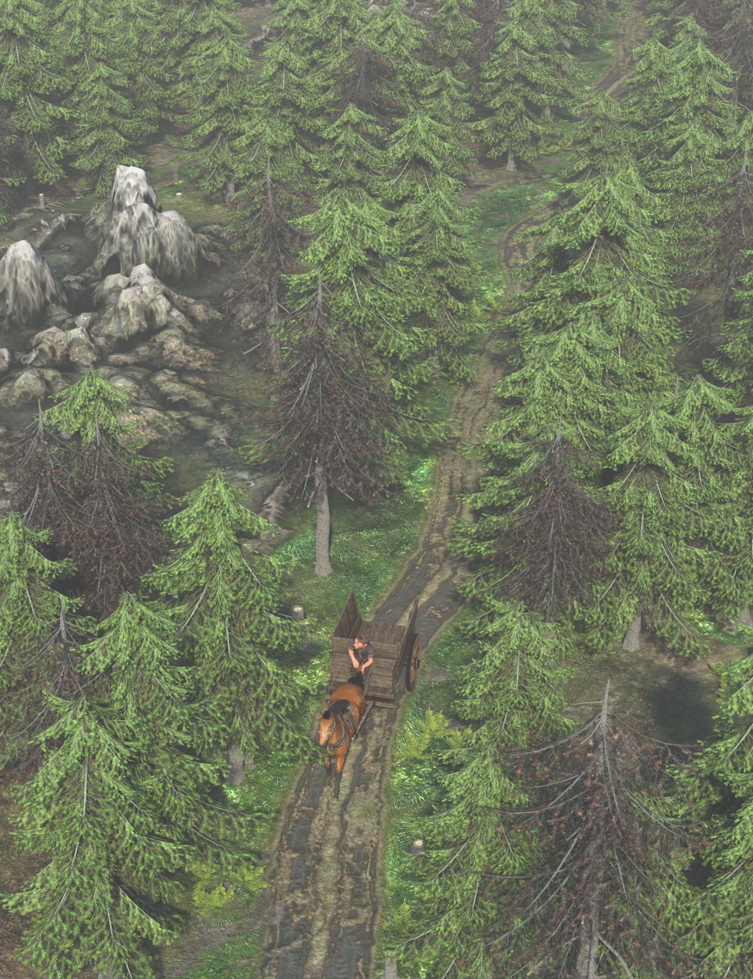 From Above: Low Poly Forest | Daz 3D