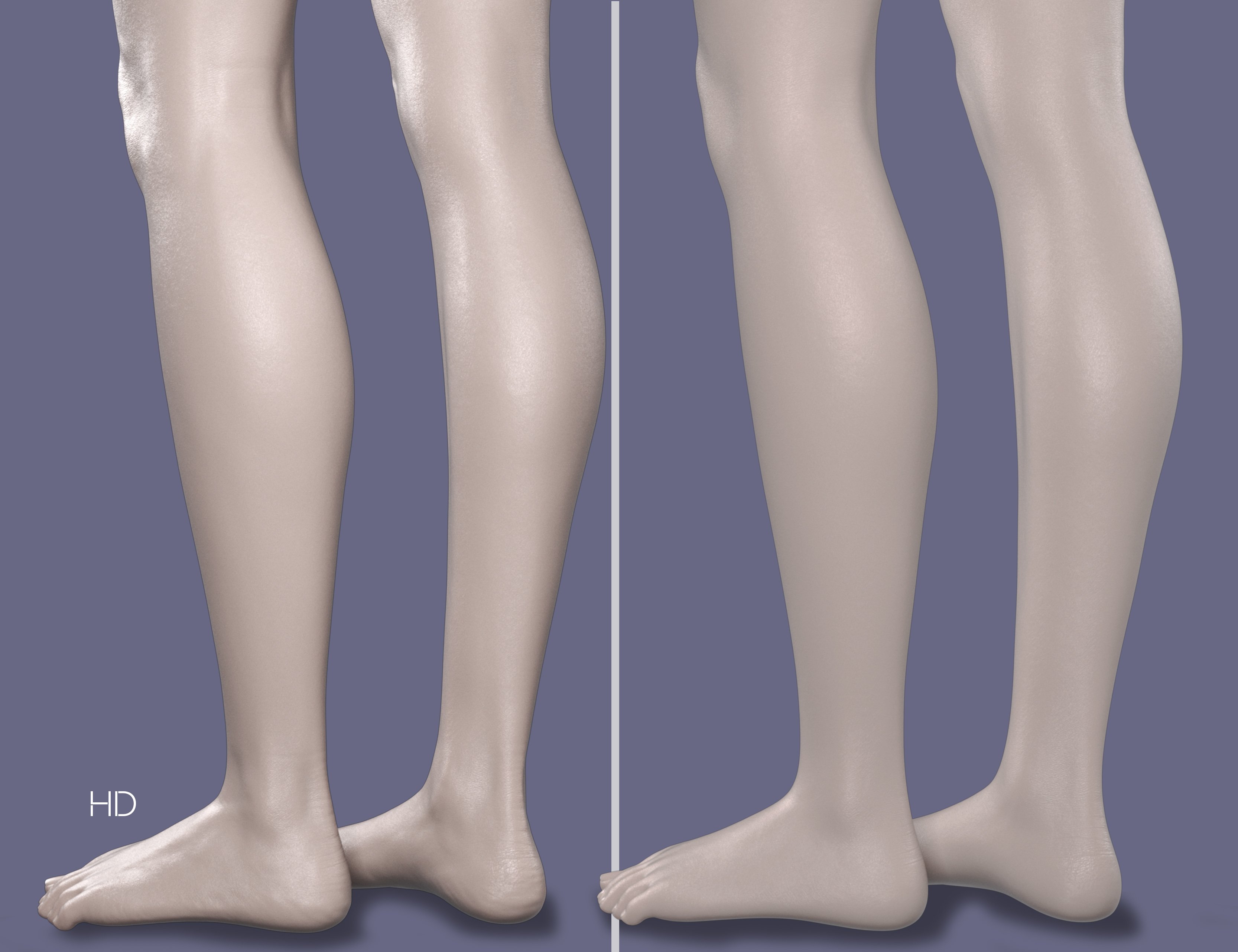 Eight HD Add-On and Anatomical Elements for Genesis 9 Feminine | Daz 3D