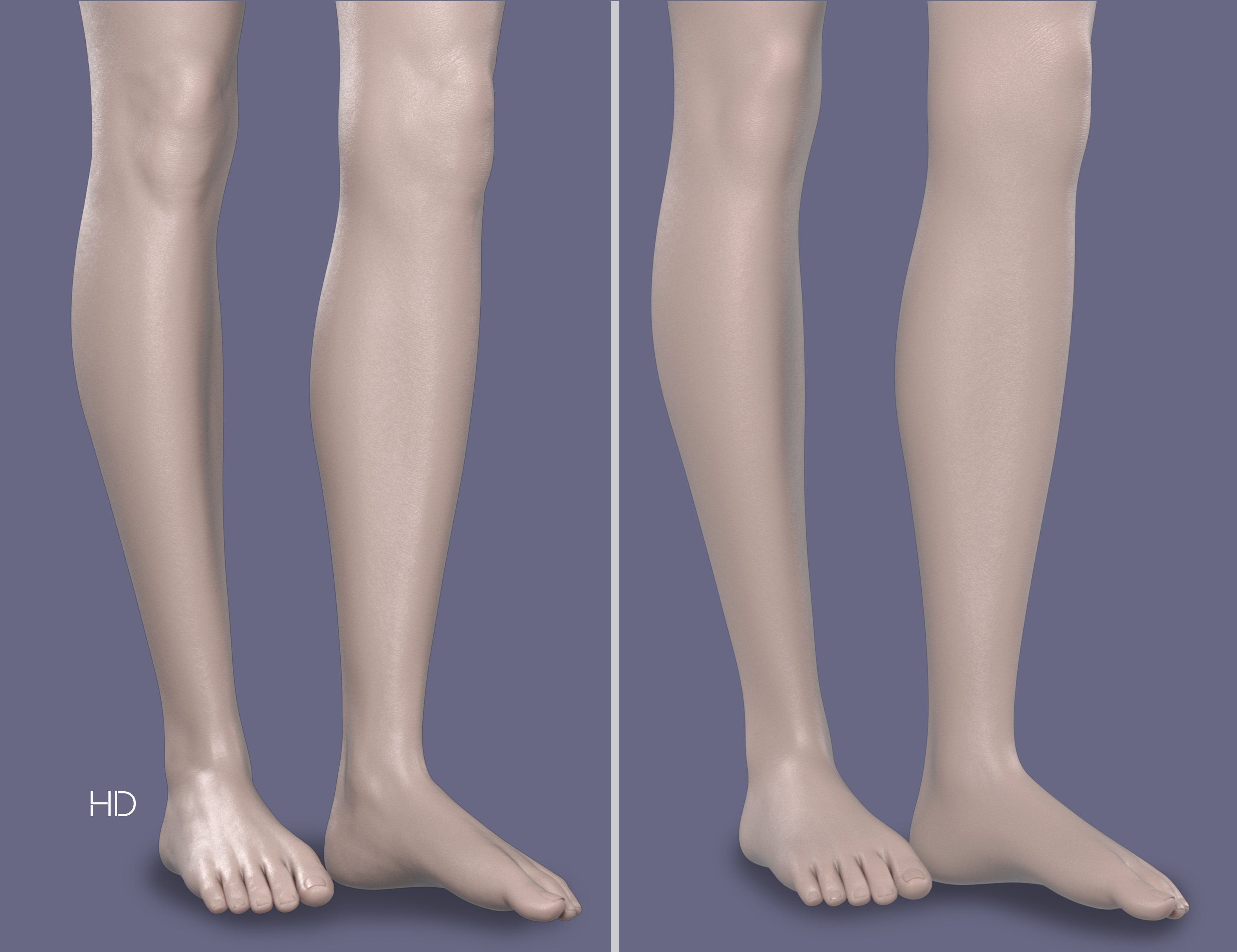 Eight HD Add-On and Anatomical Elements for Genesis 9 Feminine | Daz 3D