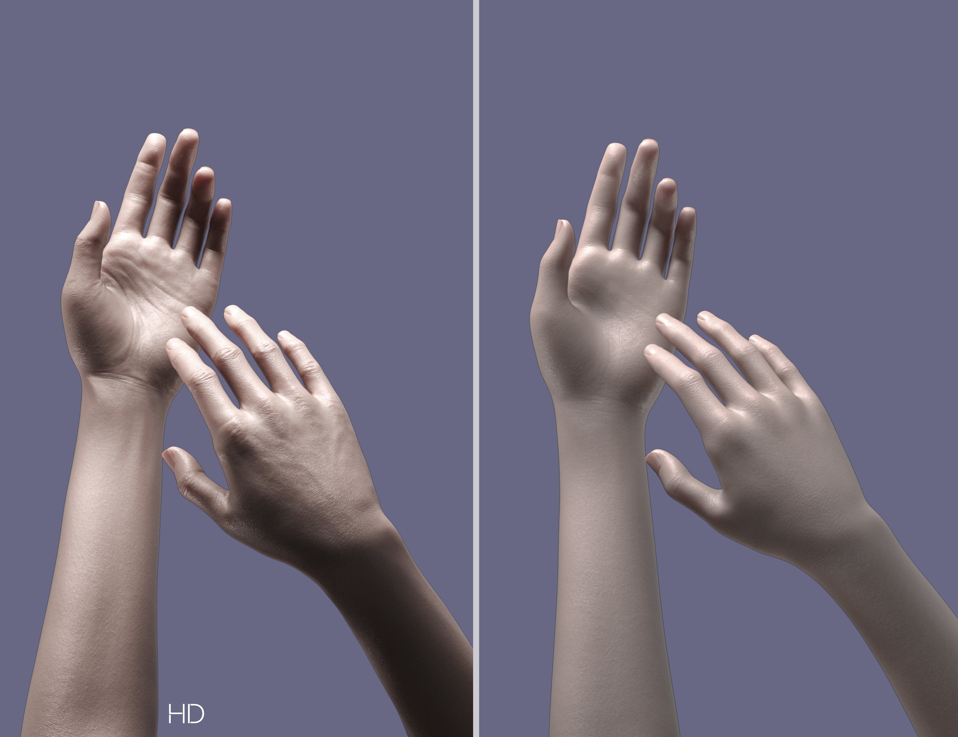 Eight HD Add-On and Anatomical Elements for Genesis 9 Feminine | Daz 3D