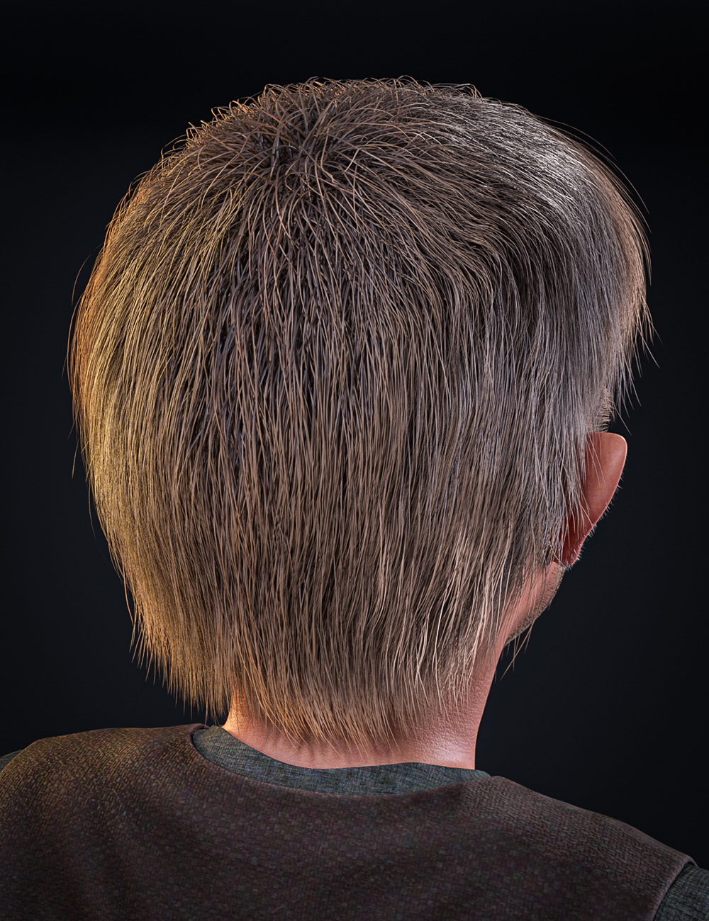 Barnabus Ragwort Short Hair Styles Collection | Daz 3D