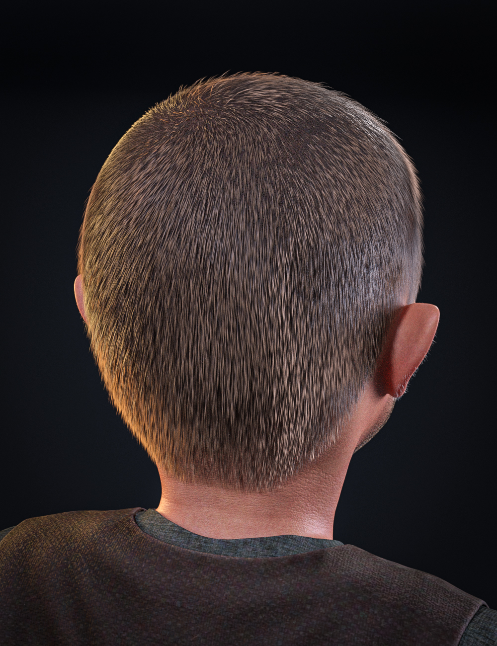 Barnabus Ragwort Short Hair Styles Collection | Daz 3D