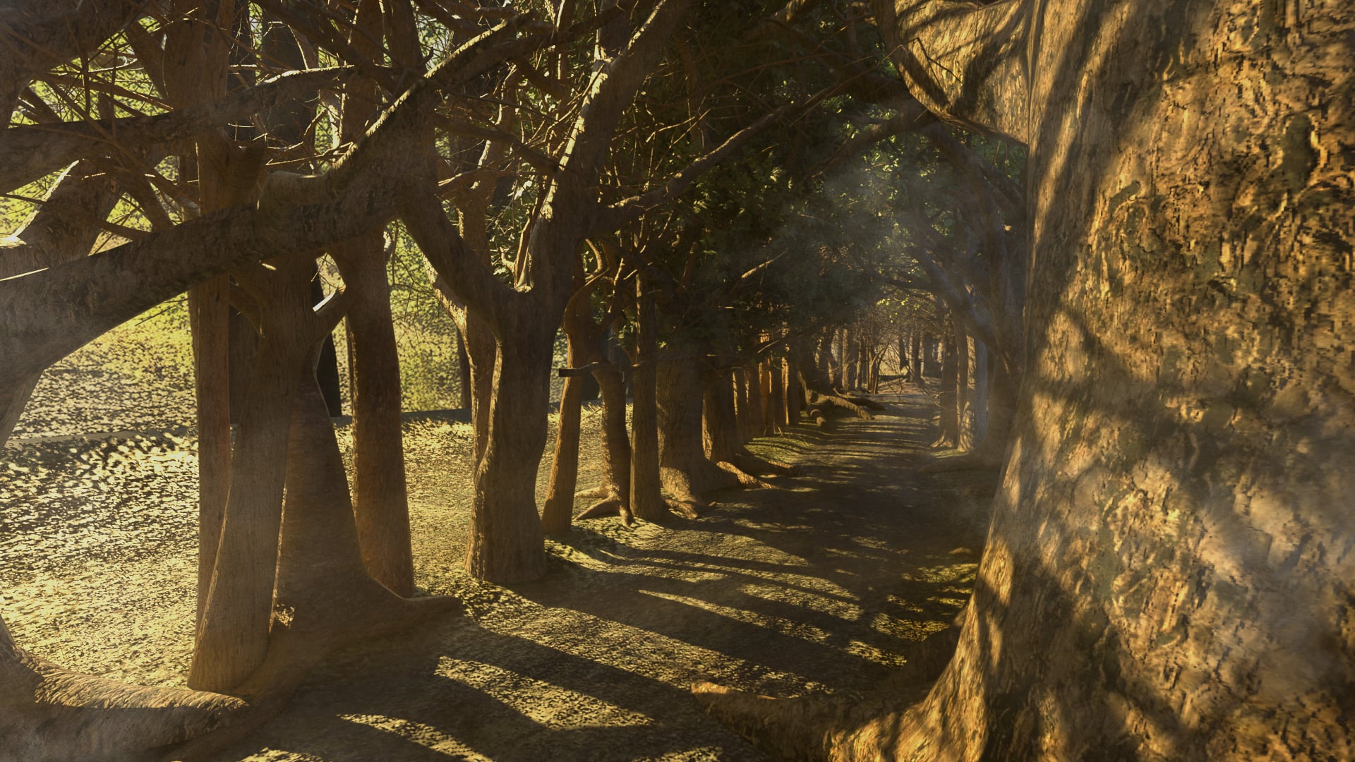 The Wandering Way | Daz 3D