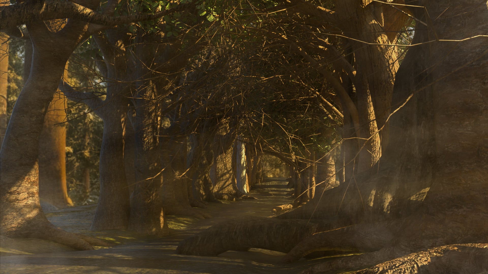 The Wandering Way | Daz 3D