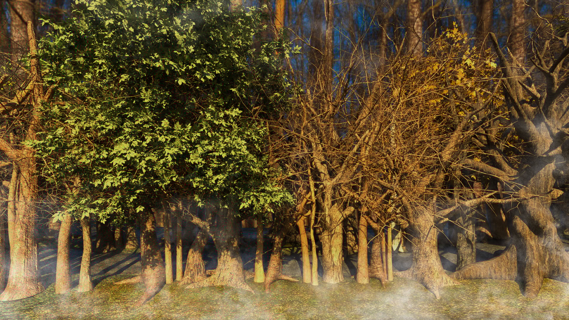 The Wandering Way | Daz 3D