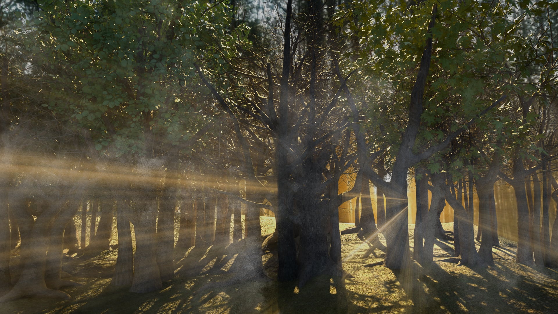 The Wandering Way | Daz 3D