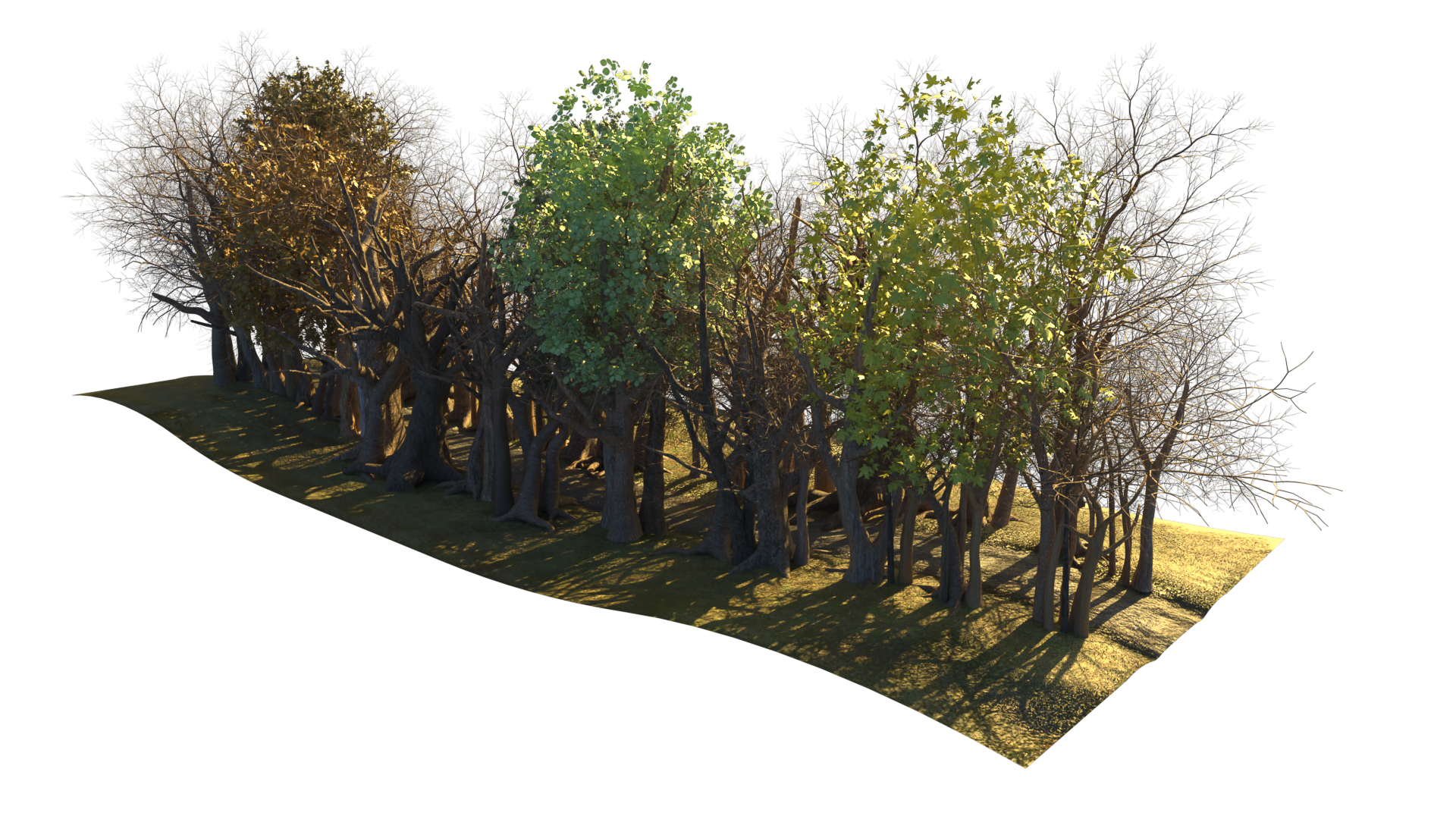 The Wandering Way | Daz 3D