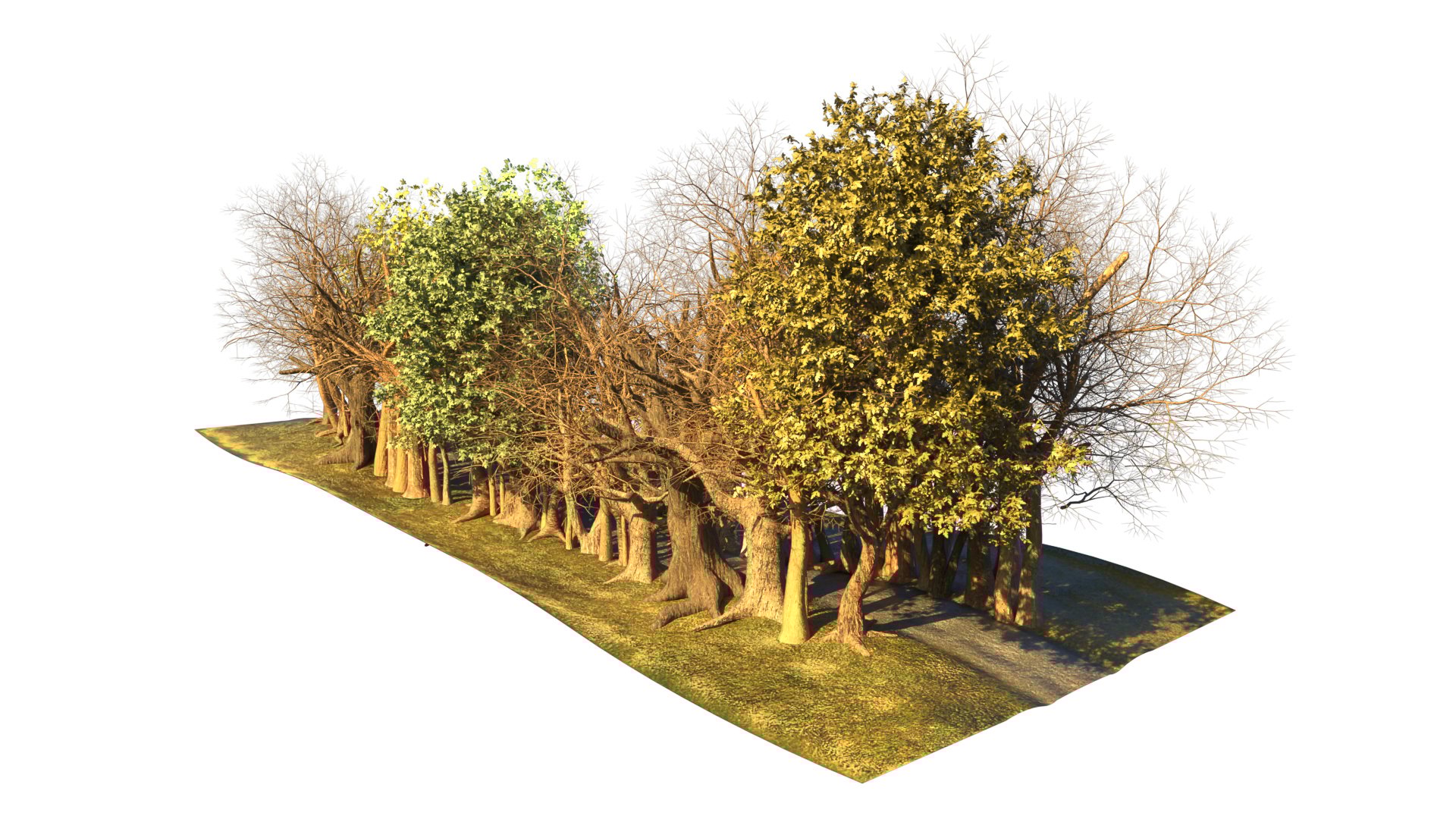 The Wandering Way | Daz 3D