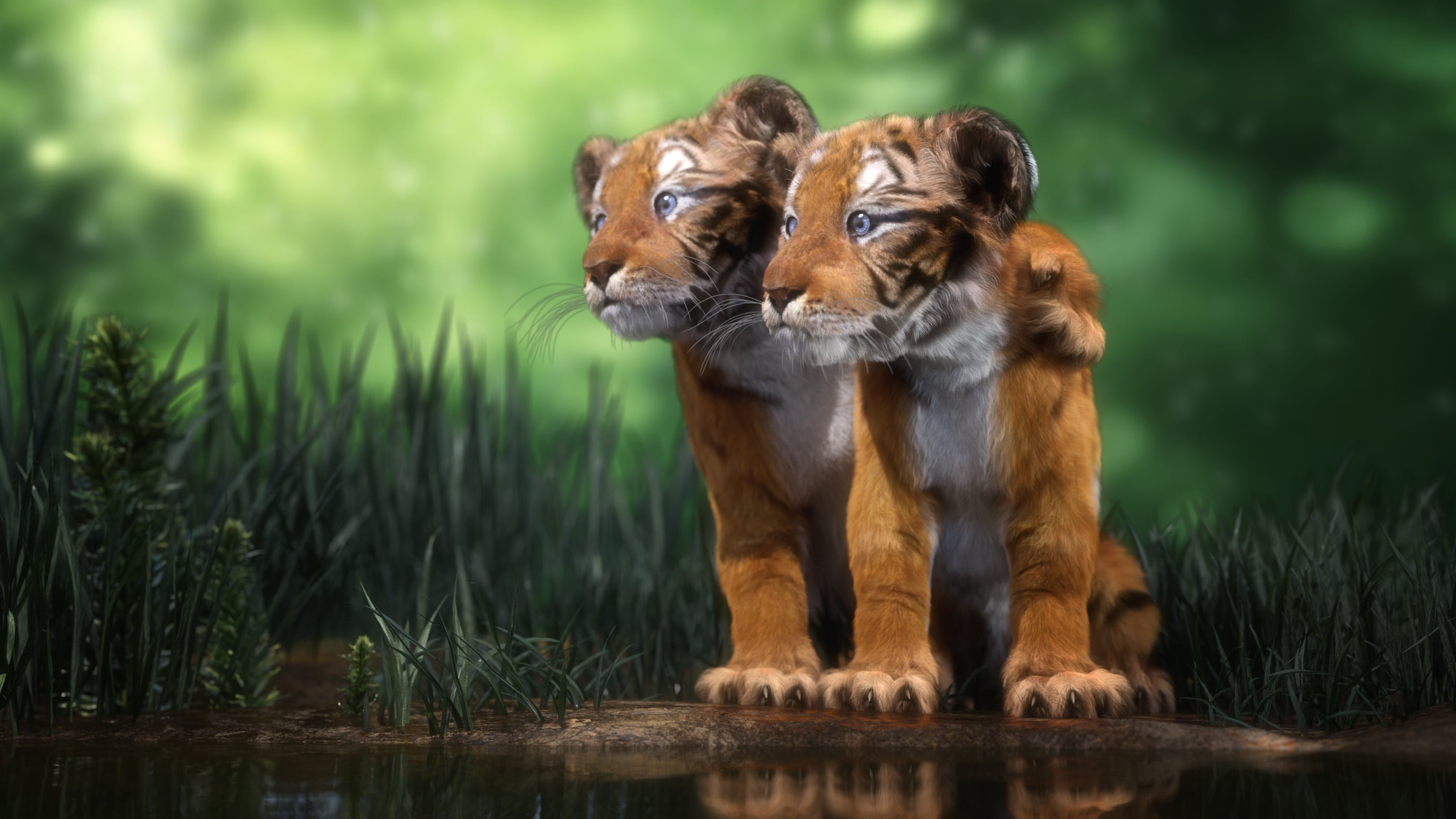 Felidae by AM - Rajah the Tiger Cub | Daz 3D