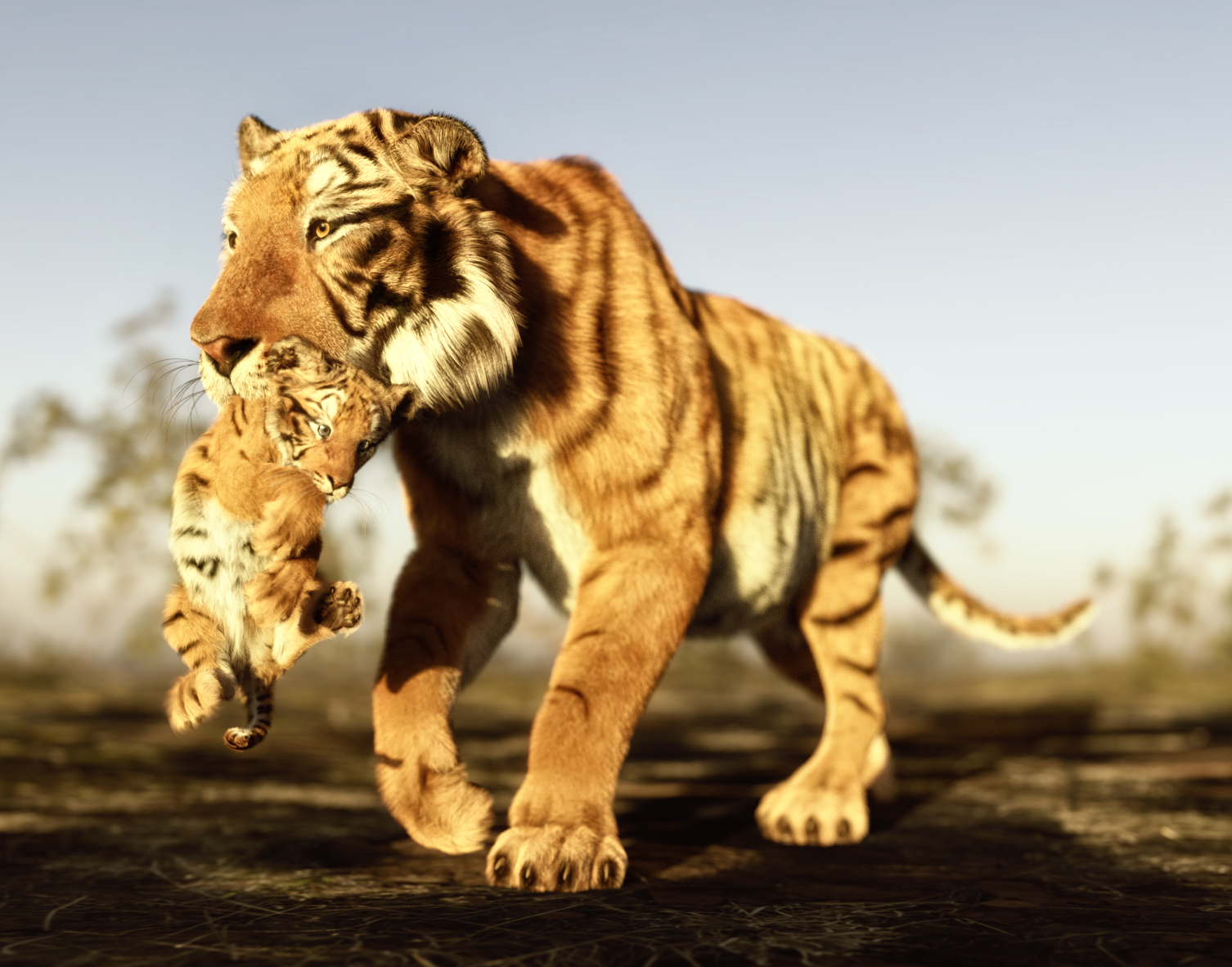 Felidae by AM - Rajah the Tiger Cub | Daz 3D