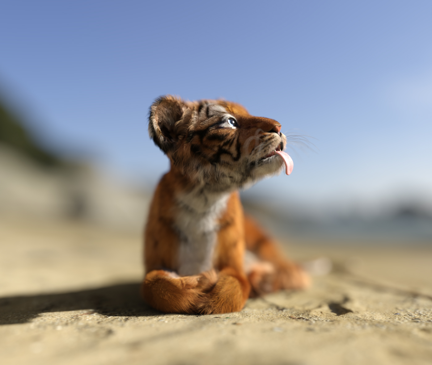 Felidae by AM - Rajah the Tiger Cub | Daz 3D