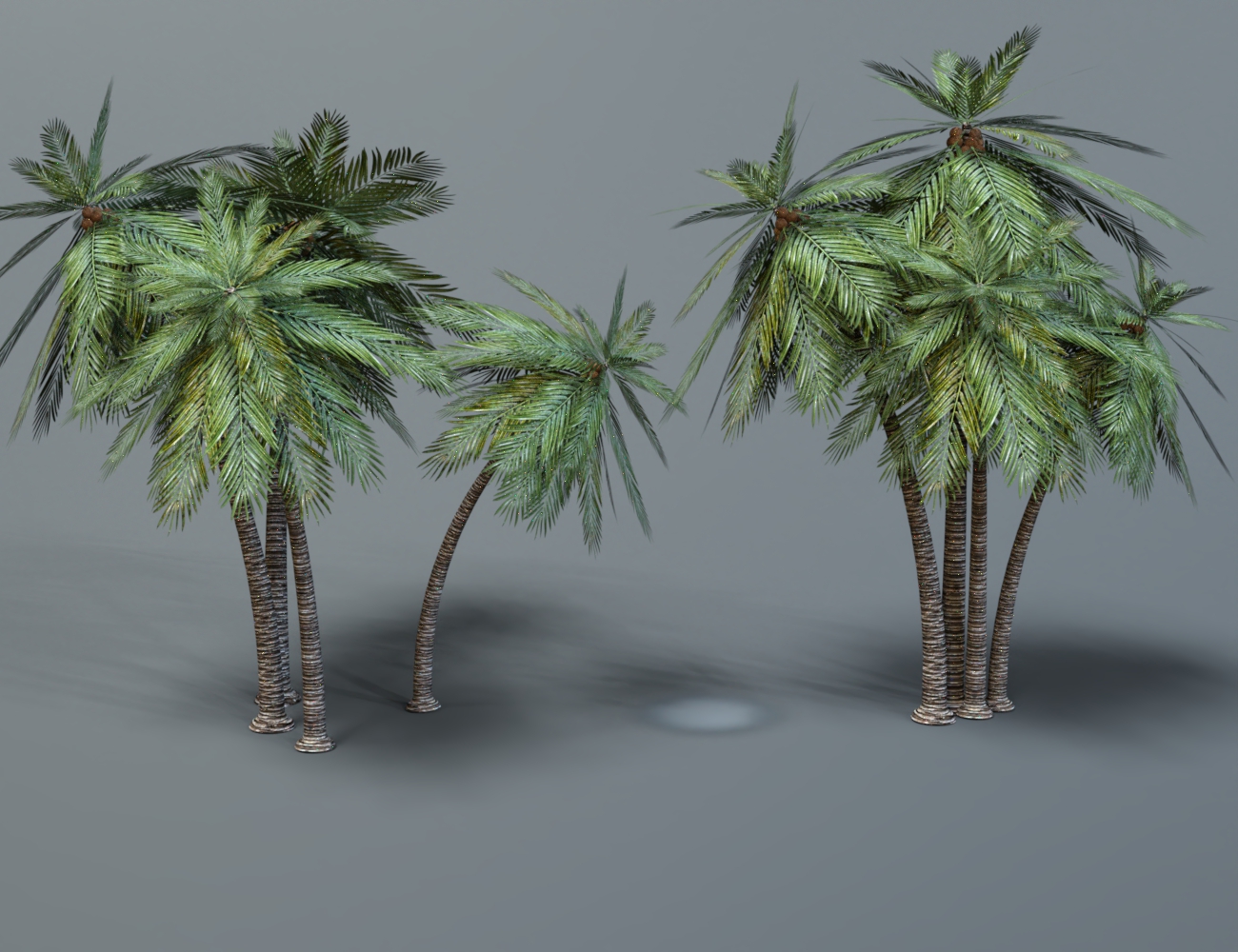 AP Modular Indian Jungle Prop Set | Daz 3D