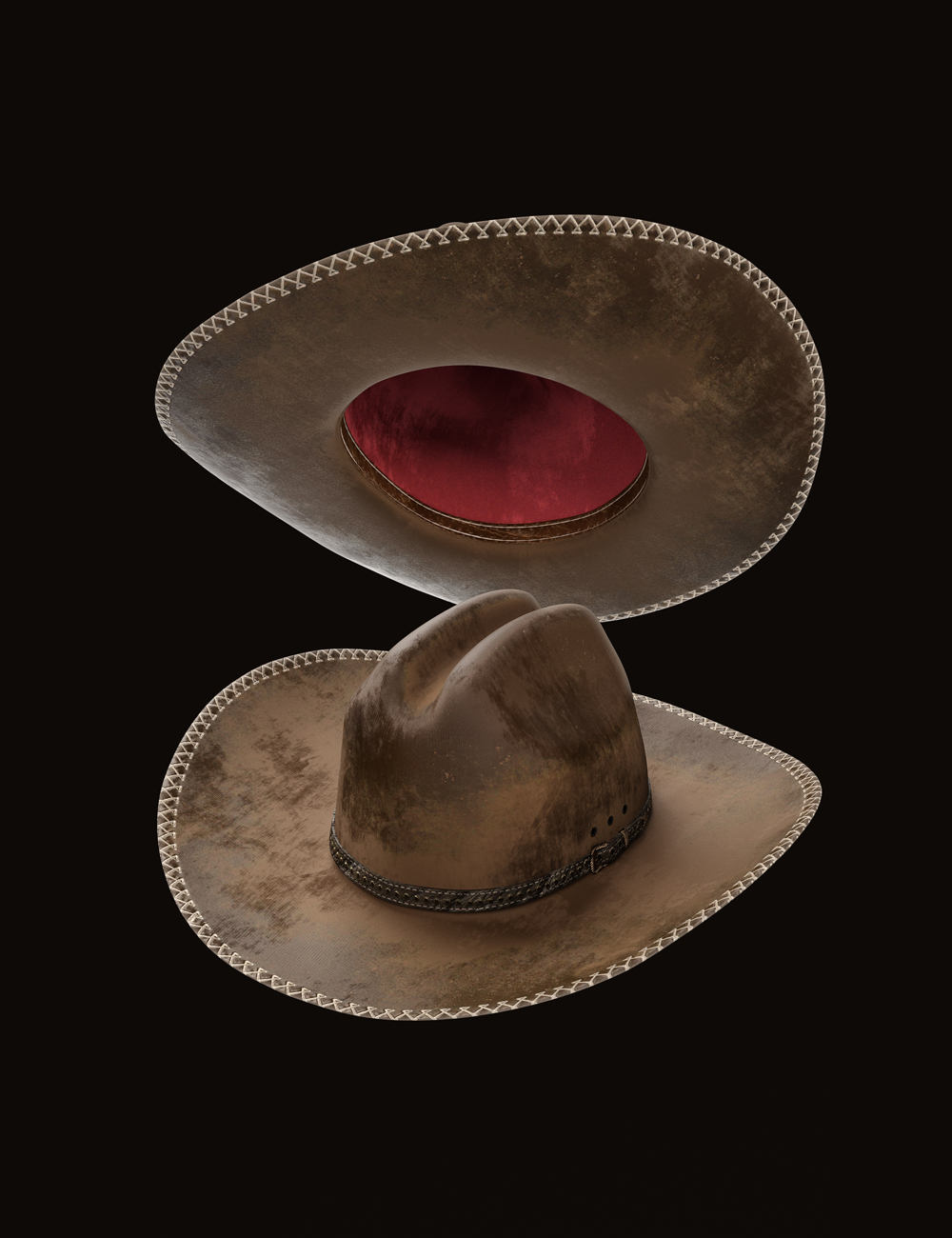 AJC Lone Star Rose Outfit For Genesis 9 Feminine | Daz 3D