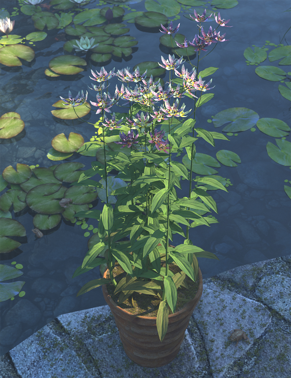 Cottage Garden Flowers - Toad Lily | Daz 3D