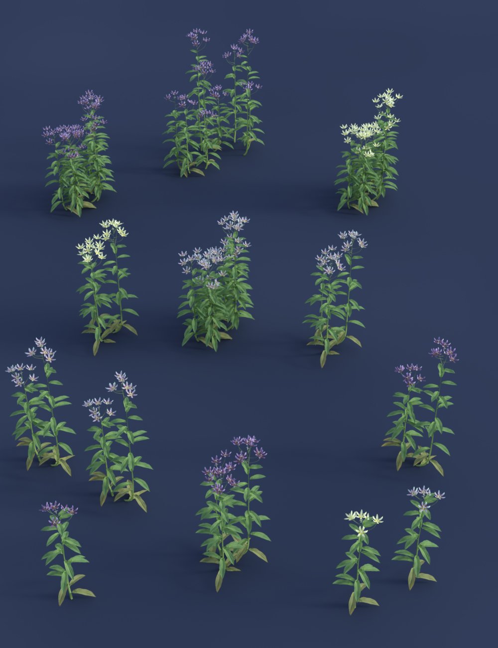Cottage Garden Flowers - Toad Lily | Daz 3D