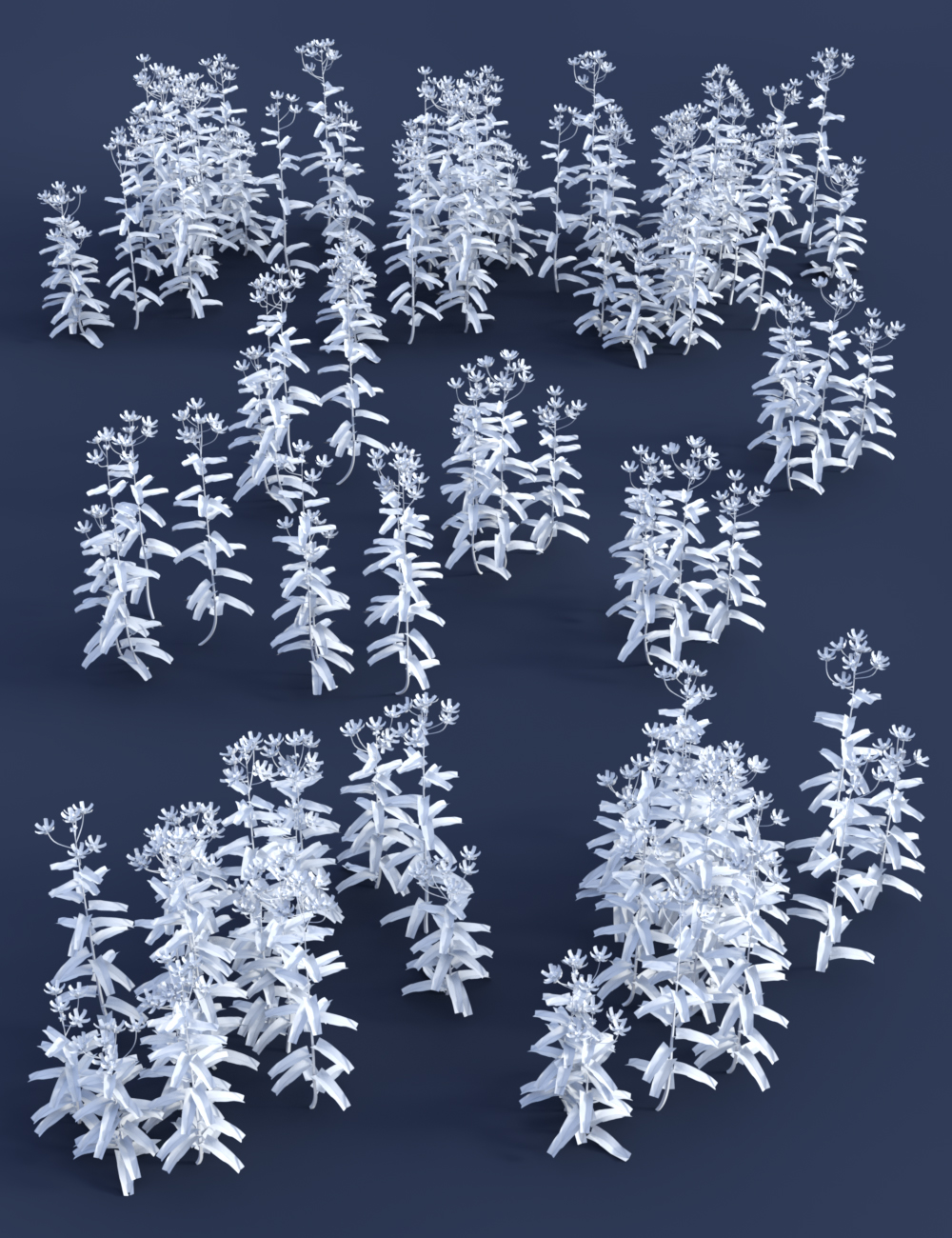 Cottage Garden Flowers - Toad Lily | Daz 3D