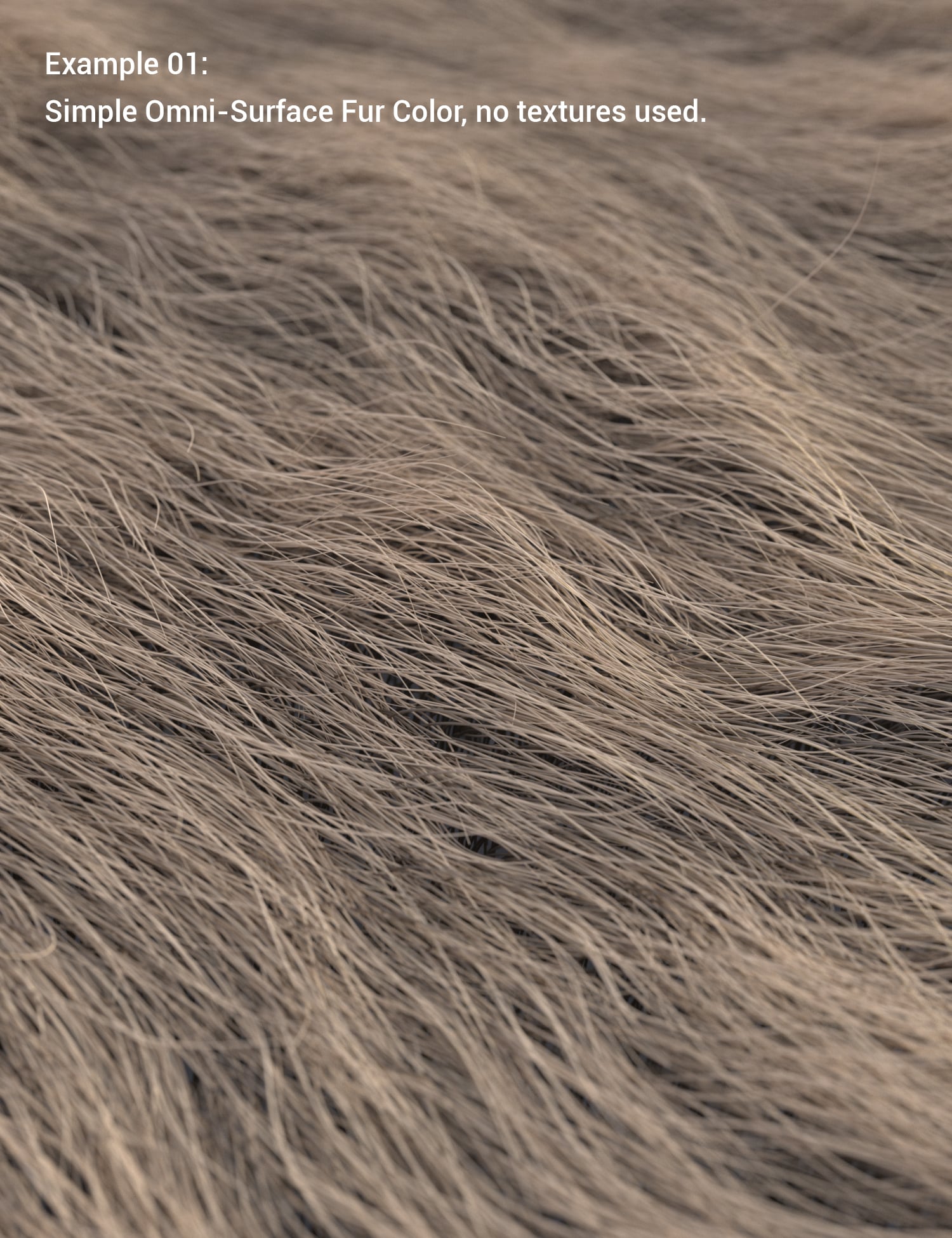 LI Strand-Based Omni Suite | Daz 3D