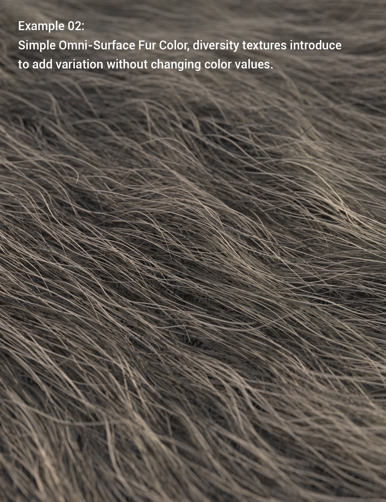 LI Strand-Based Omni Suite | Daz 3D