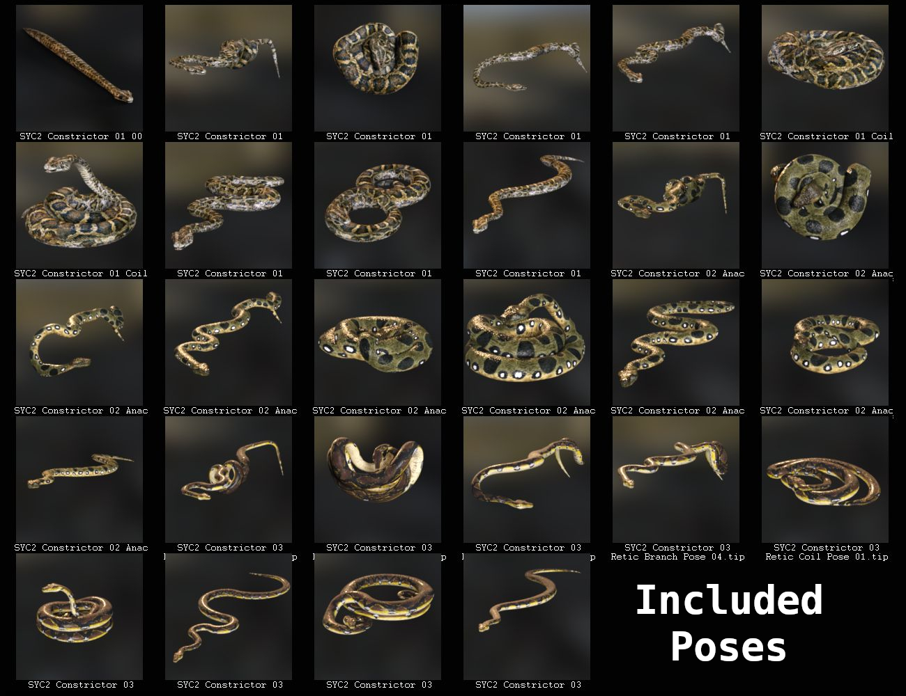 SY The Constrictor 2 | Daz 3D