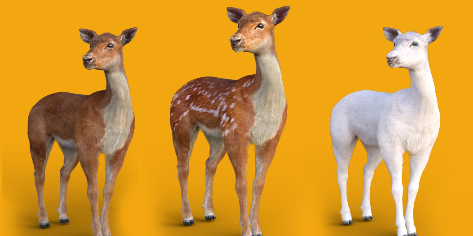 Deer for Daz Horse 3 | Daz 3D