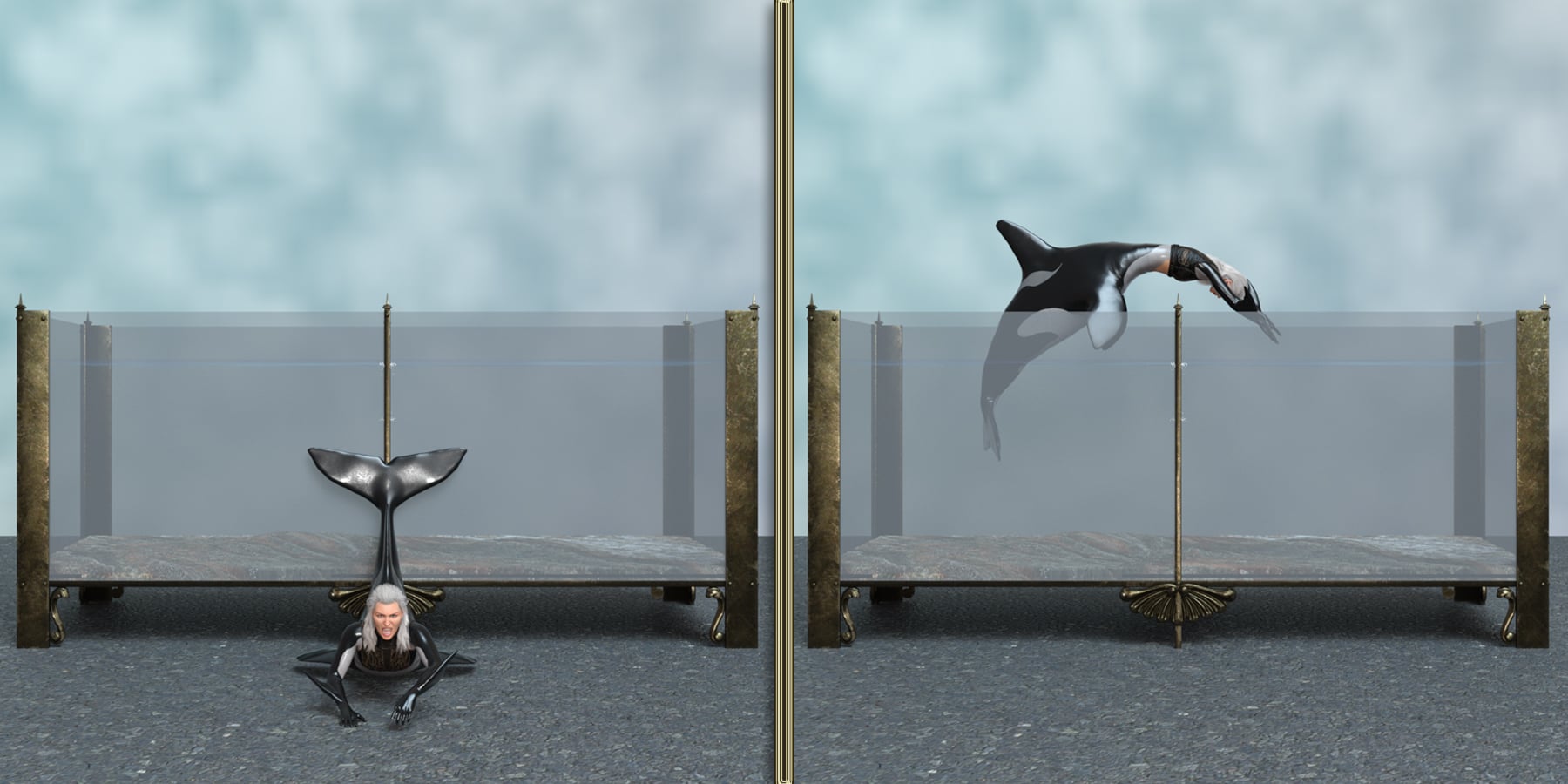 Natens Old Water Tank and Pet Orca Poses for FPE Shark Tail Orca Add On ...