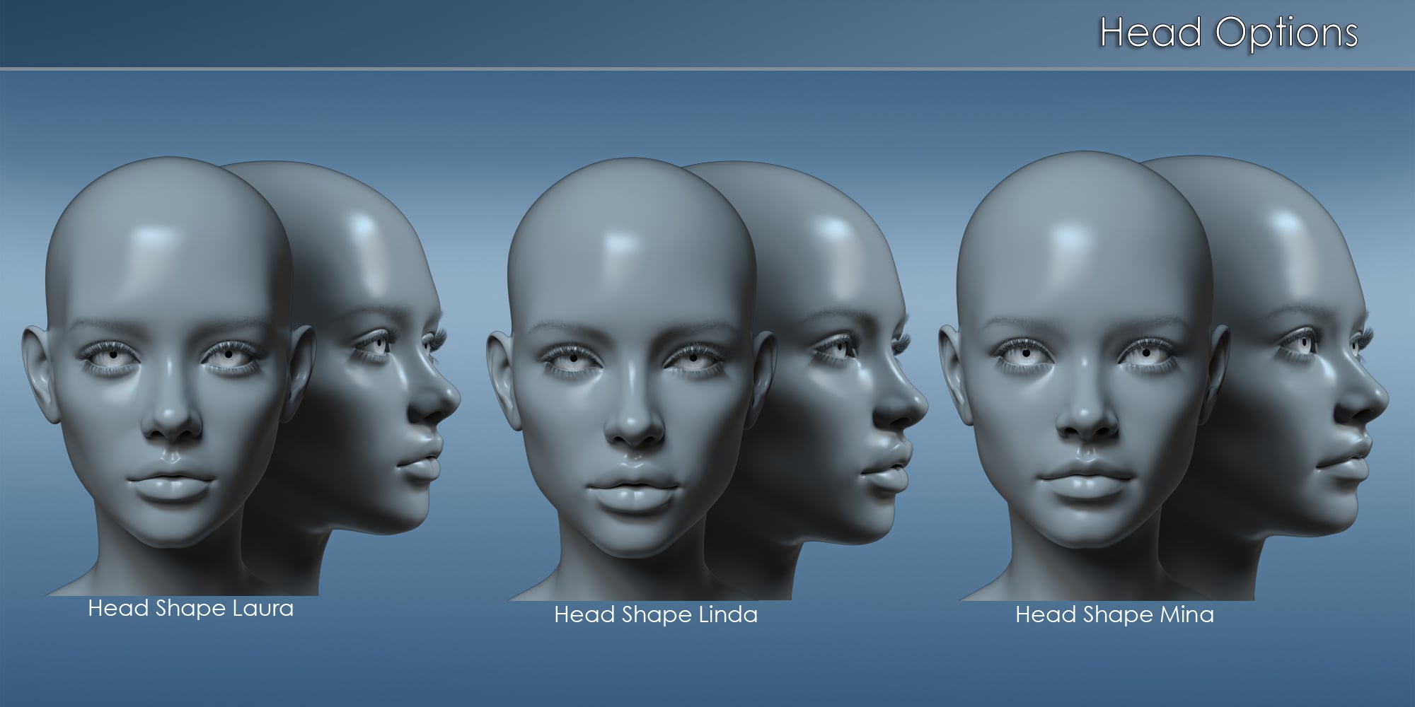 P3D Fashion Model Shapes for Genesis 9 Feminine | Daz 3D