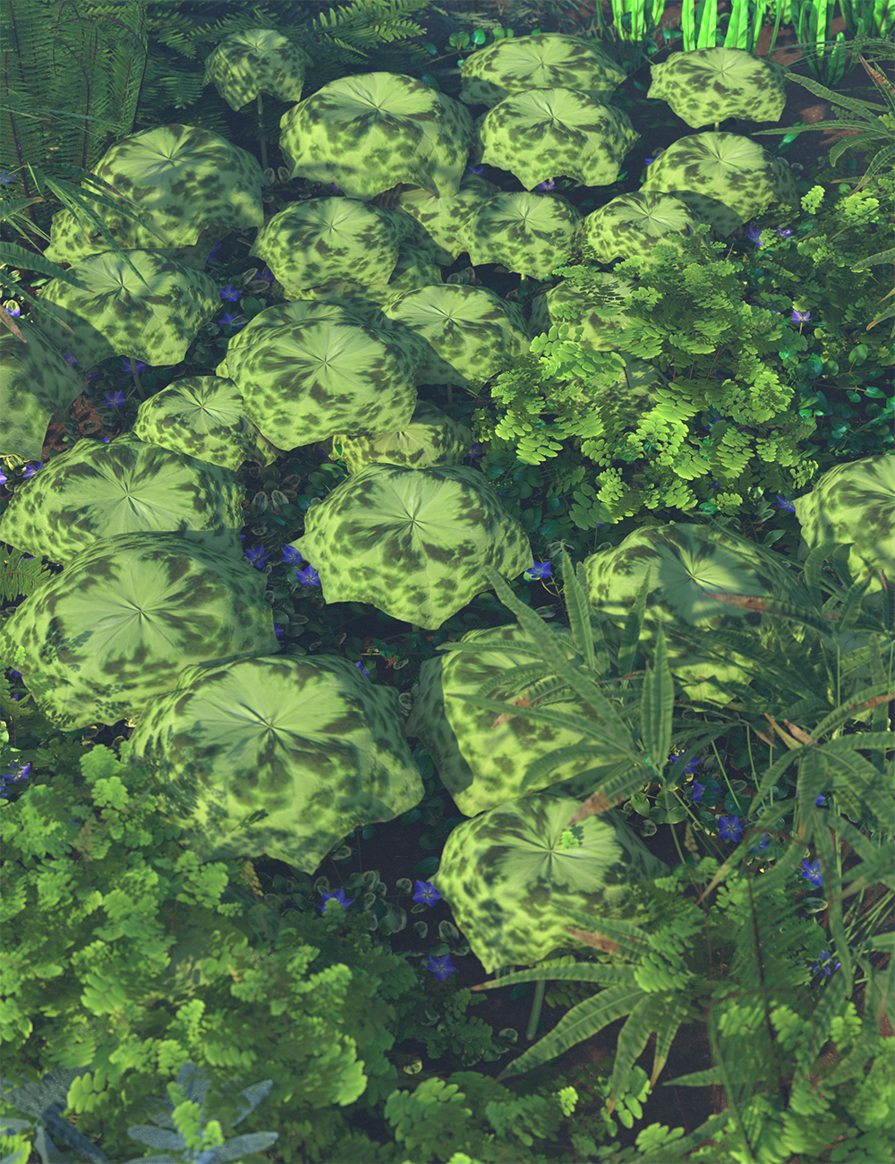 Spotty Dotty Foliage Plants ⋆ Freebies Daz 3D
