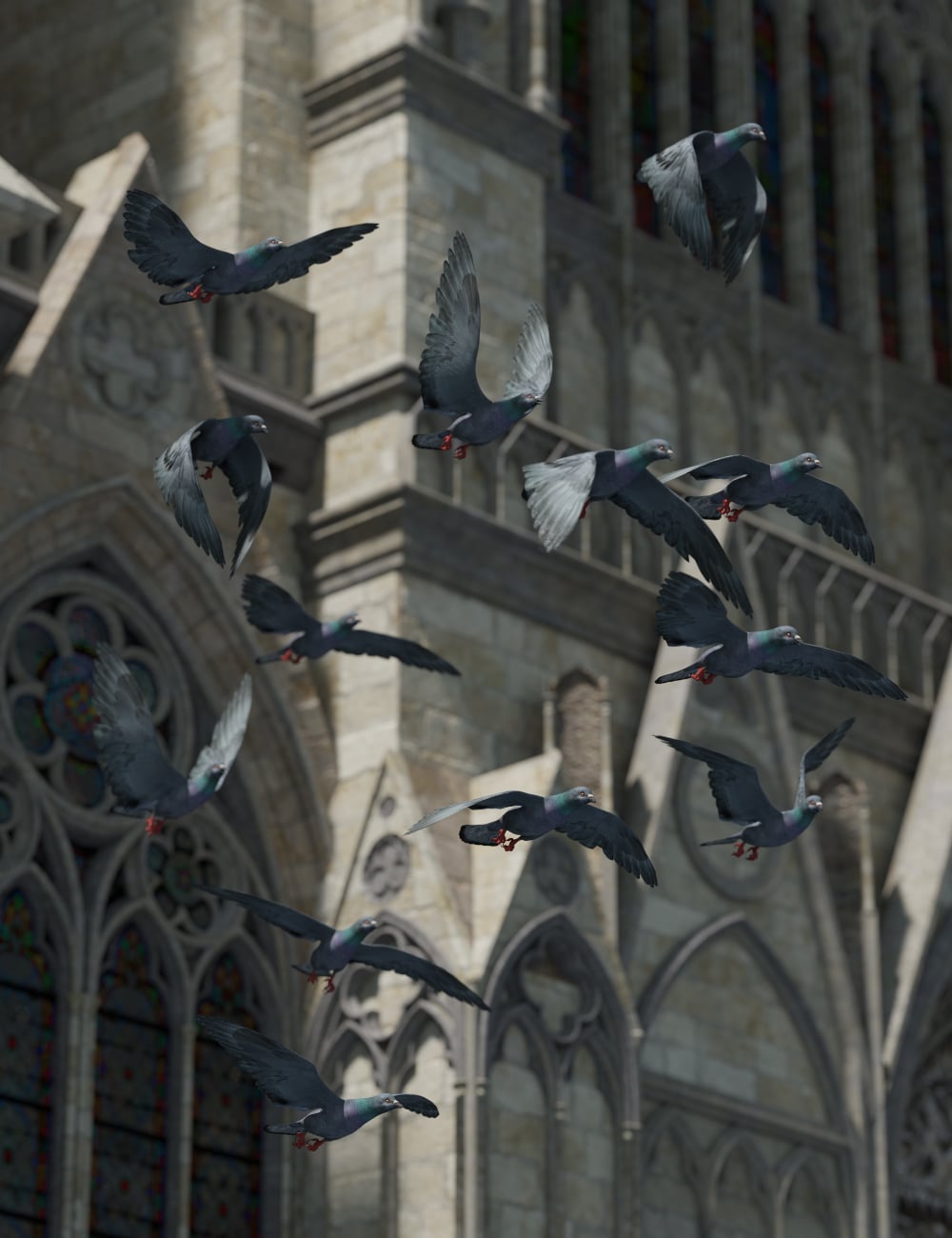 DS Flock Birds | Daz 3D