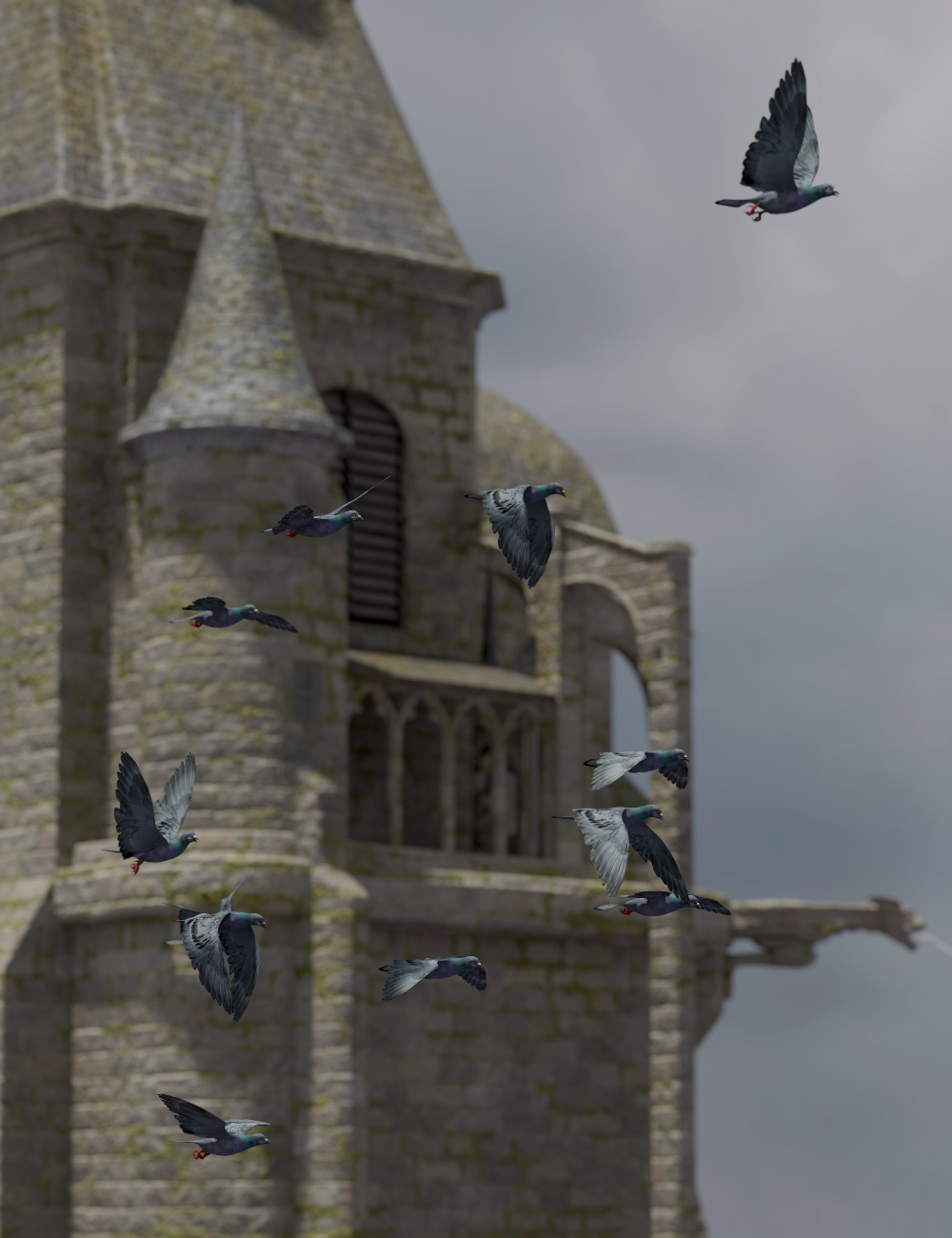 DS Flock Birds | Daz 3D