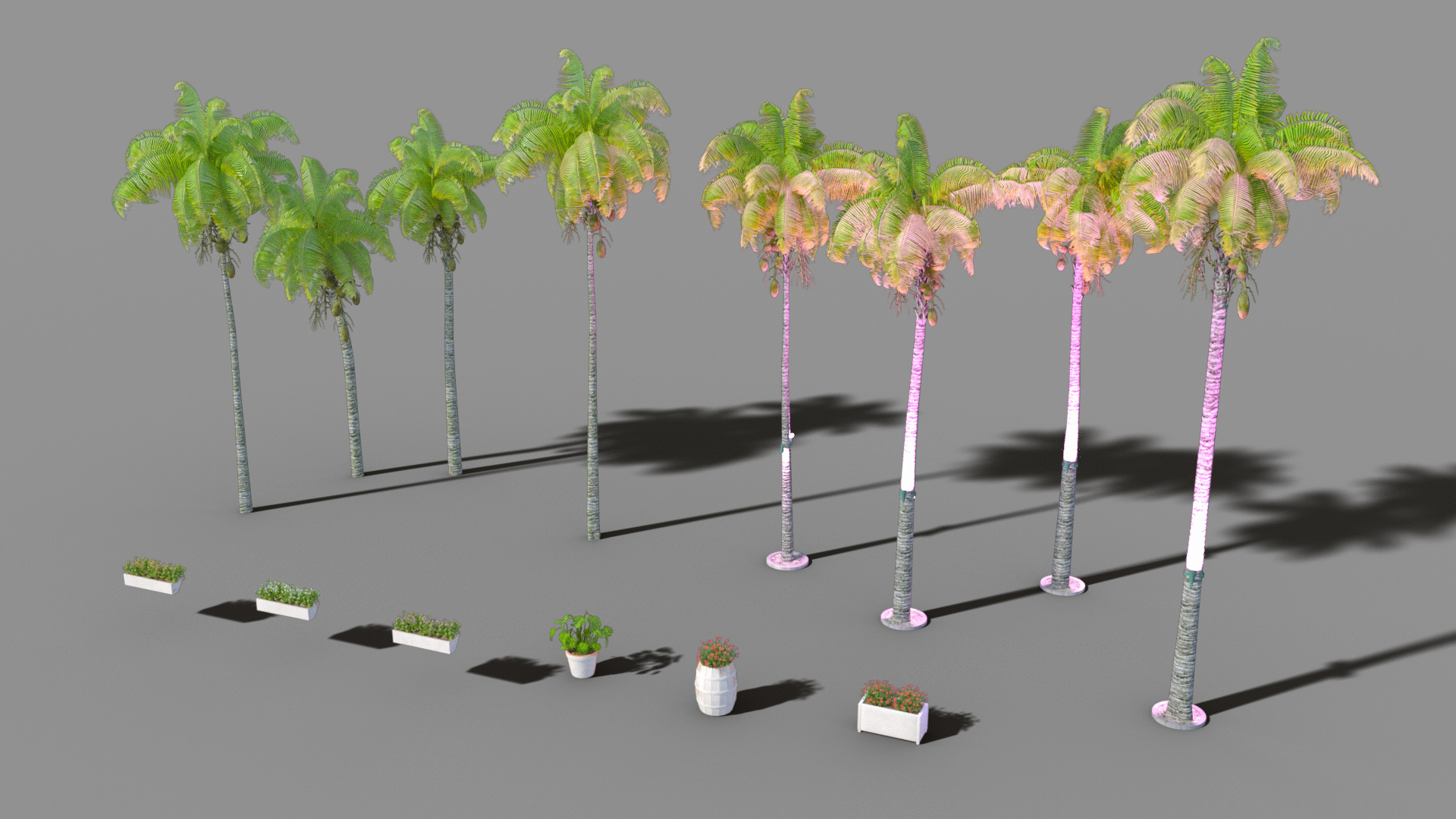 Polish Whitewave Vegetation | Daz 3D