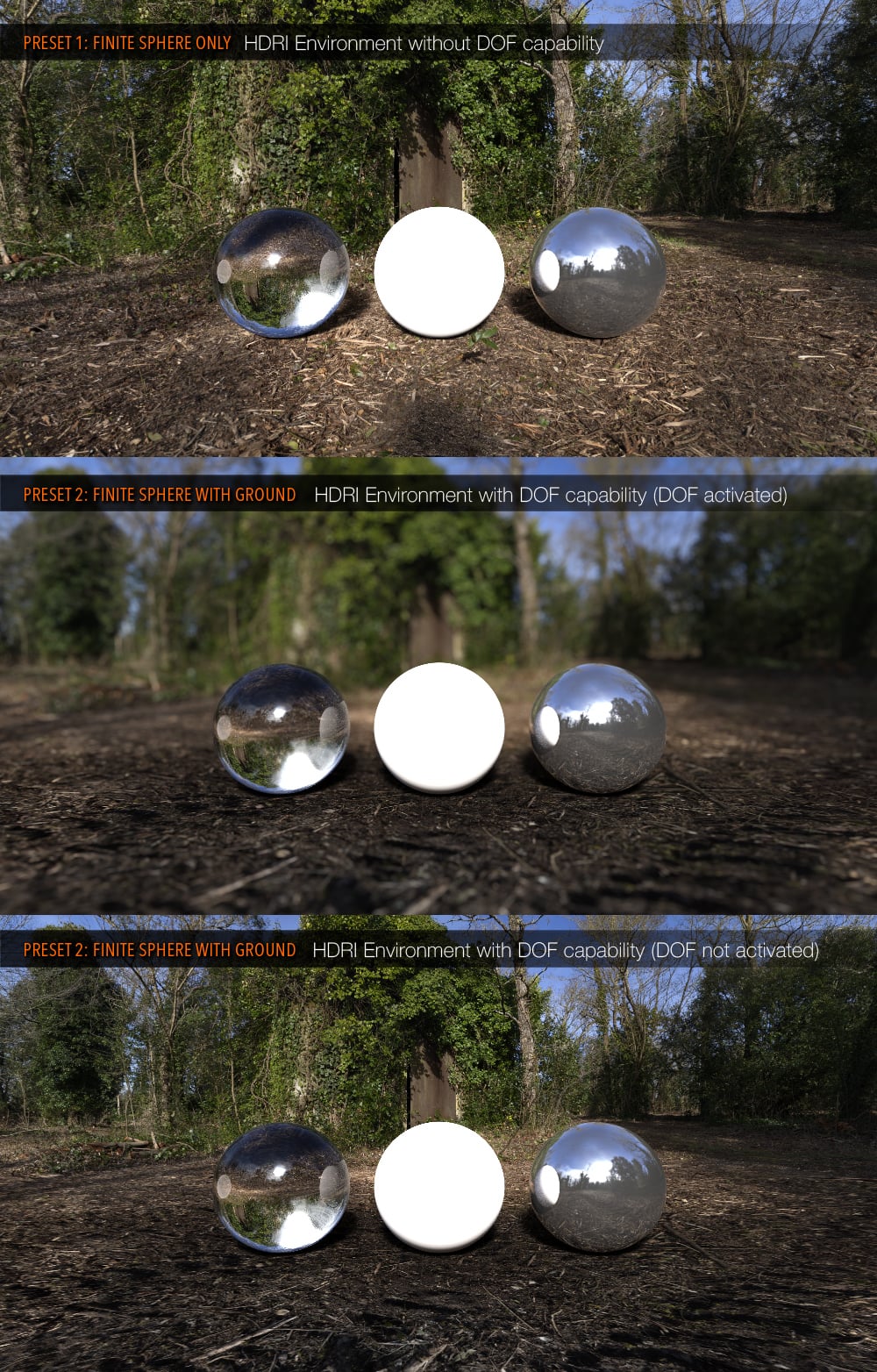 UltraHD IRAY HDRI With DOF - Bunkers Forest | Daz 3D
