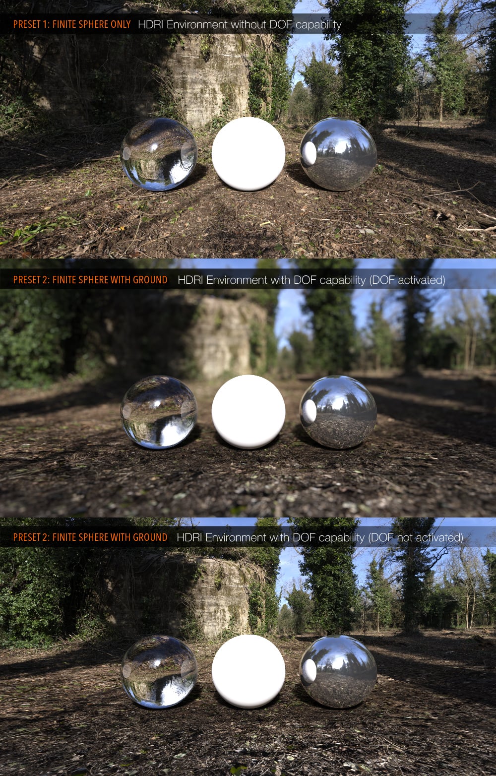 UltraHD IRAY HDRI With DOF - Bunkers Forest | Daz 3D