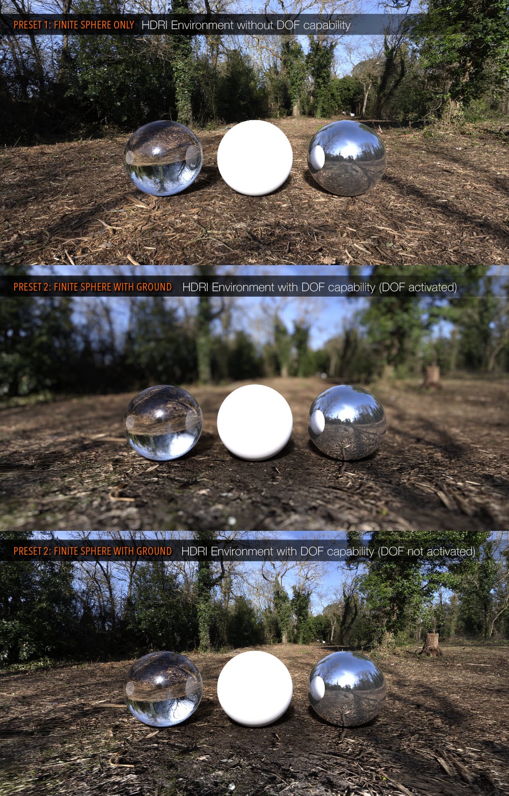 UltraHD IRAY HDRI With DOF - Bunkers Forest | Daz 3D