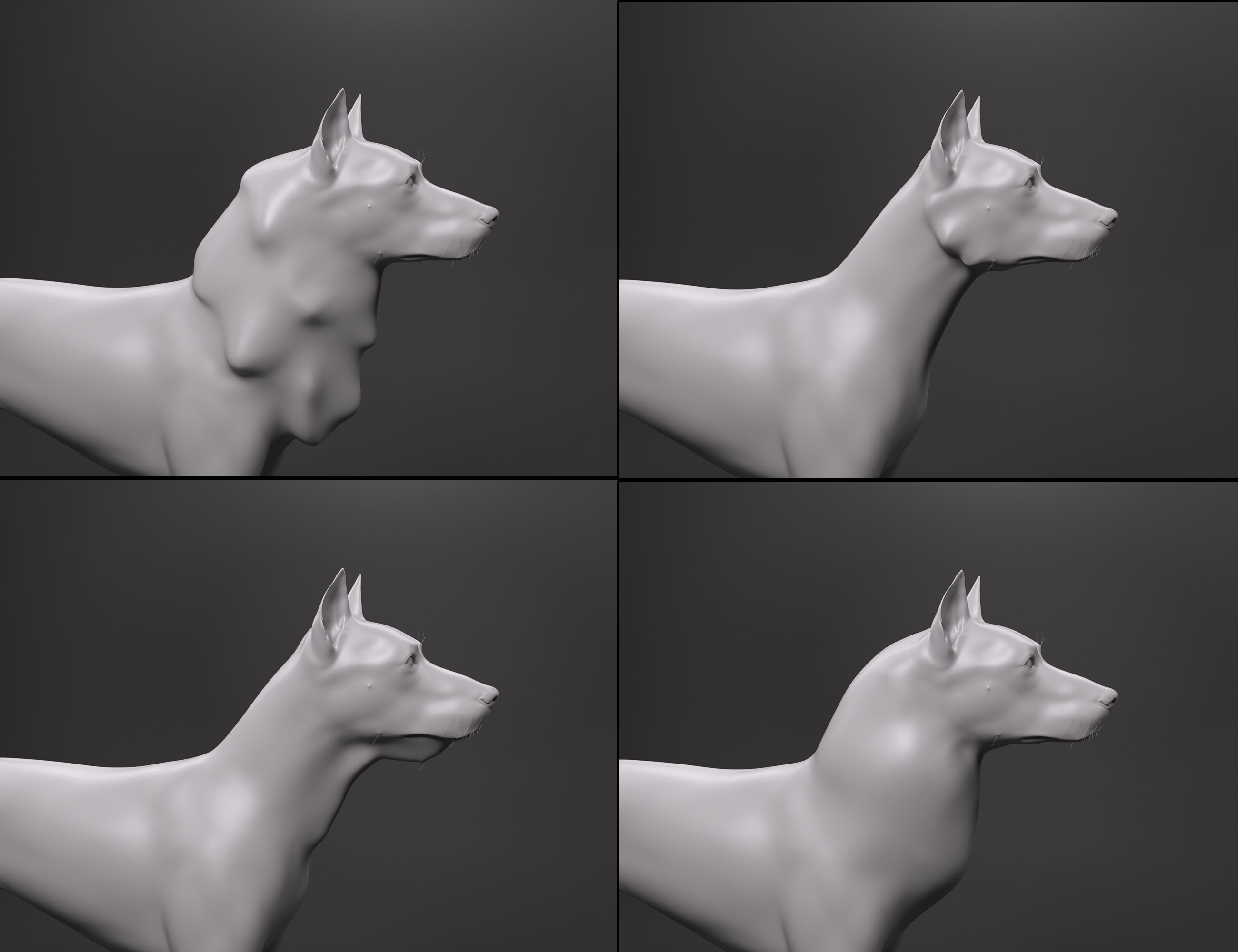Phenotypes for Dog 8 | Daz 3D