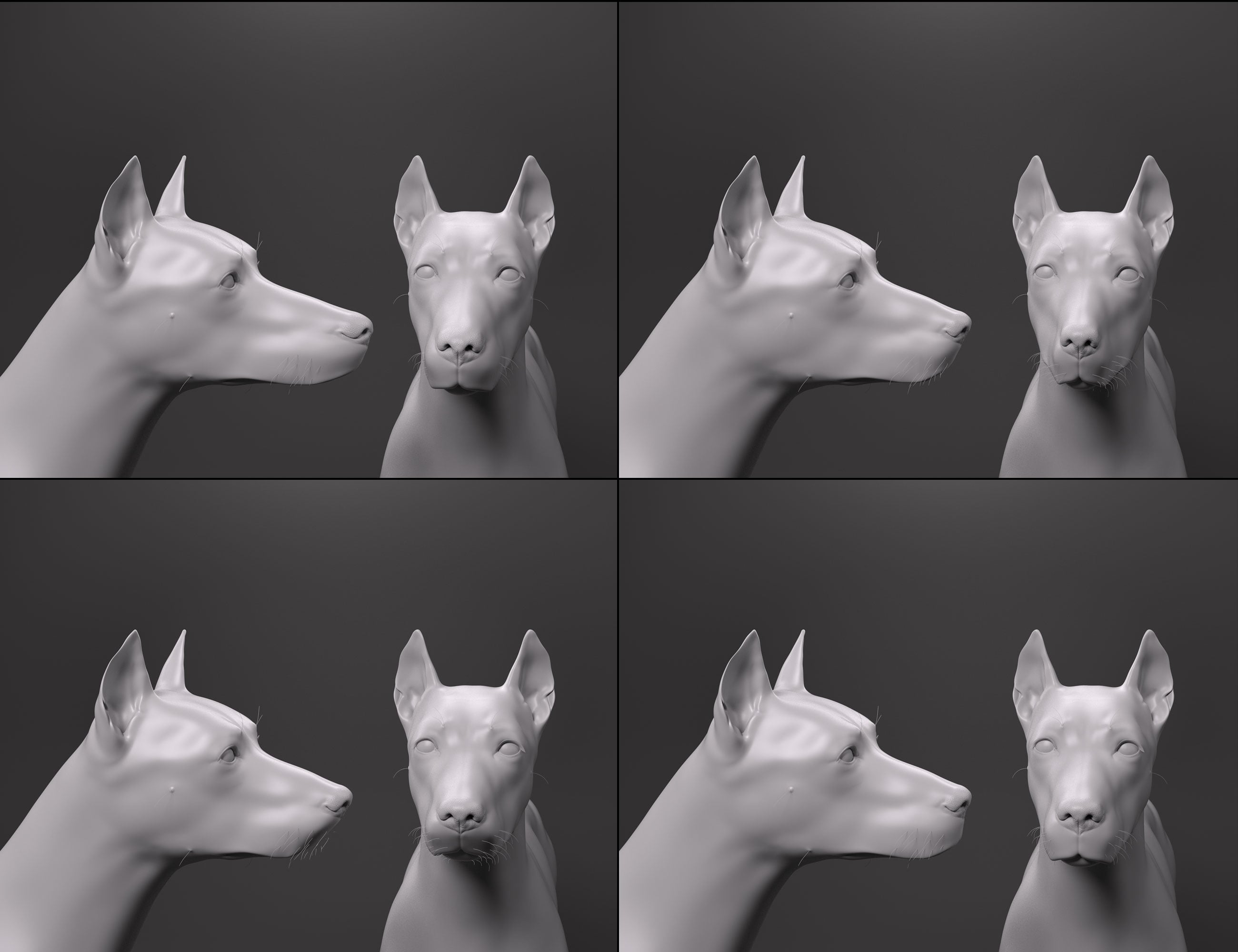Phenotypes for Dog 8 | Daz 3D