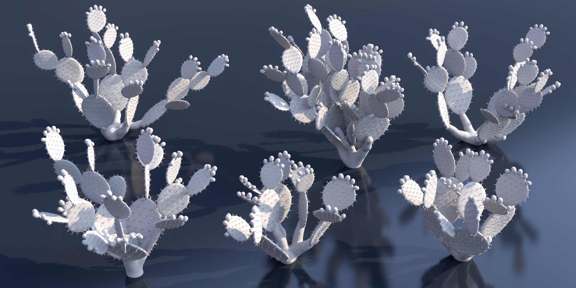 Predatron Agave and Prickly Pear Plants | Daz 3D