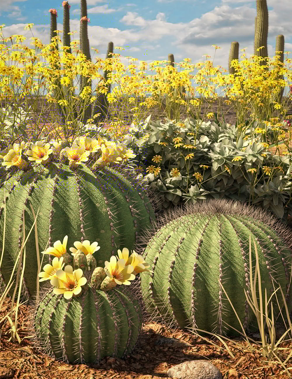 Predatron Desert Plants Bundle | Daz 3D