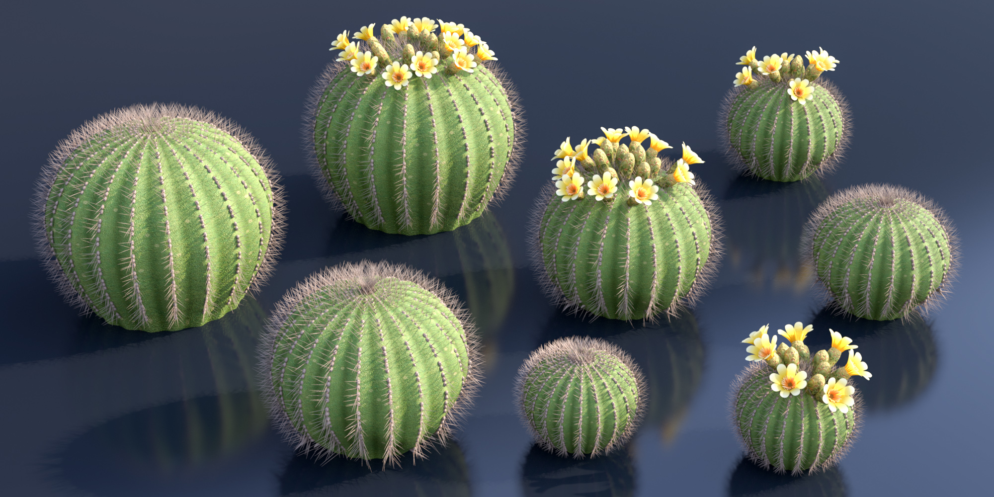Predatron Desert Plants Bundle | Daz 3D