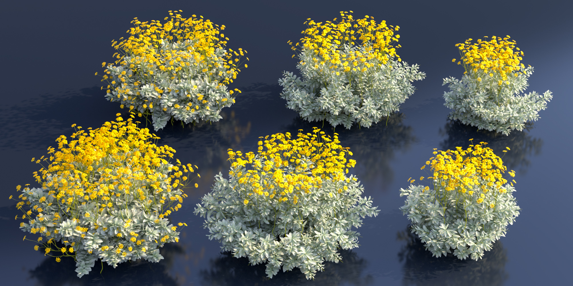 Predatron Desert Plants Bundle | Daz 3D