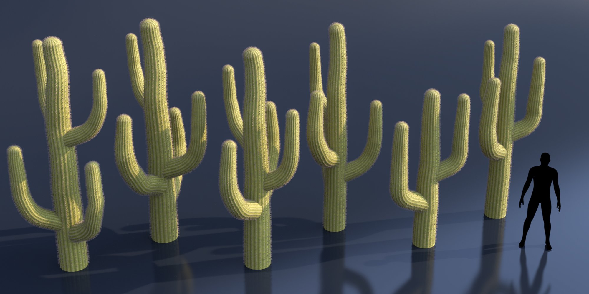 Predatron Desert Plants Bundle | Daz 3D