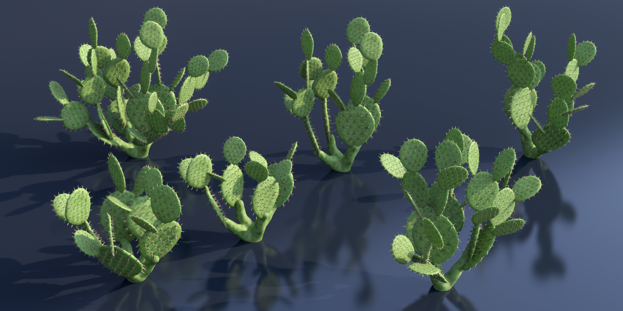 Predatron Desert Plants Bundle | Daz 3D