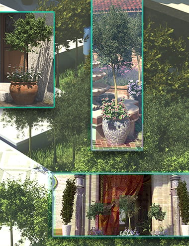 Garden Plants - Formal Trees | Daz 3D