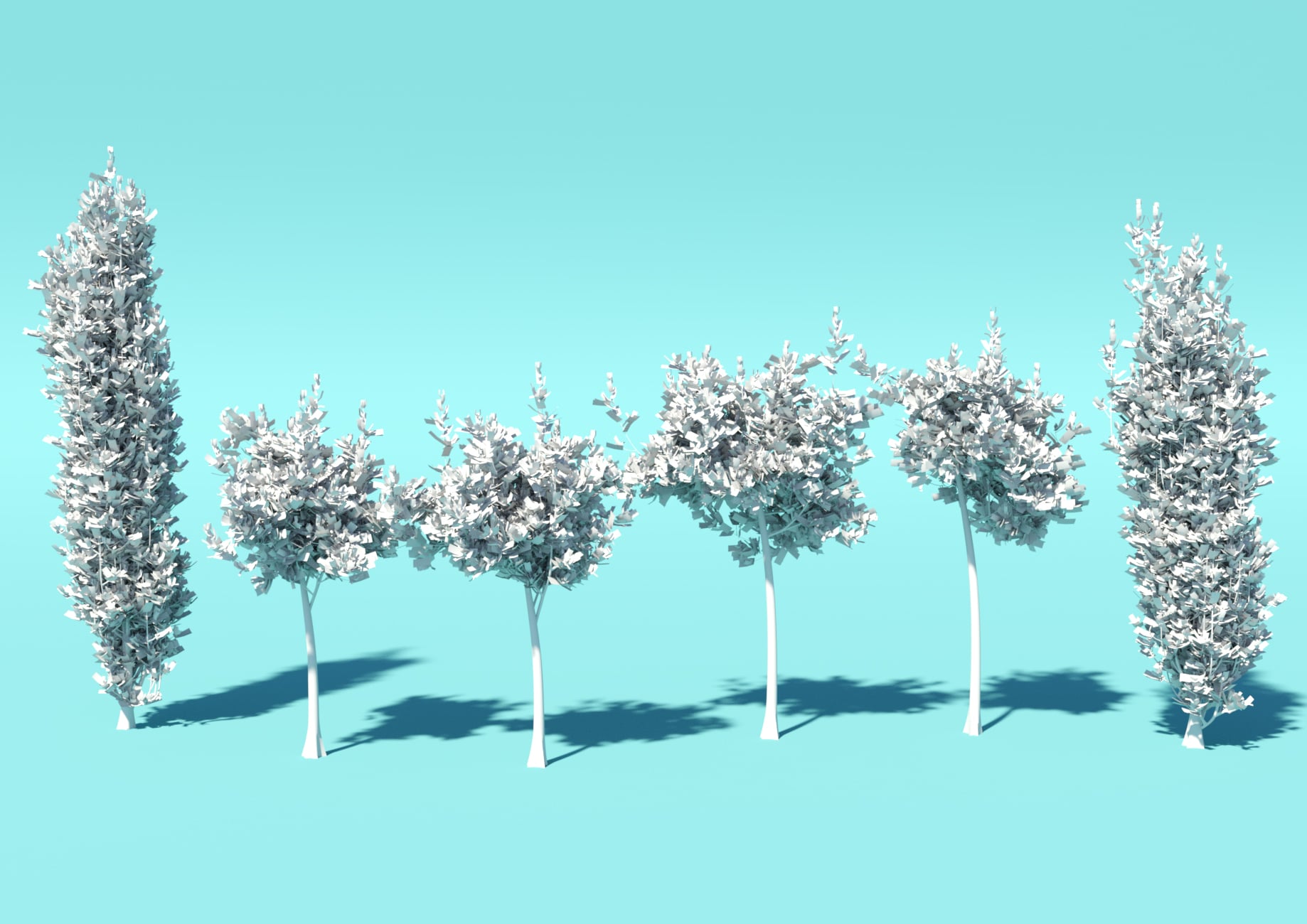 Garden Plants - Formal Trees | Daz 3D