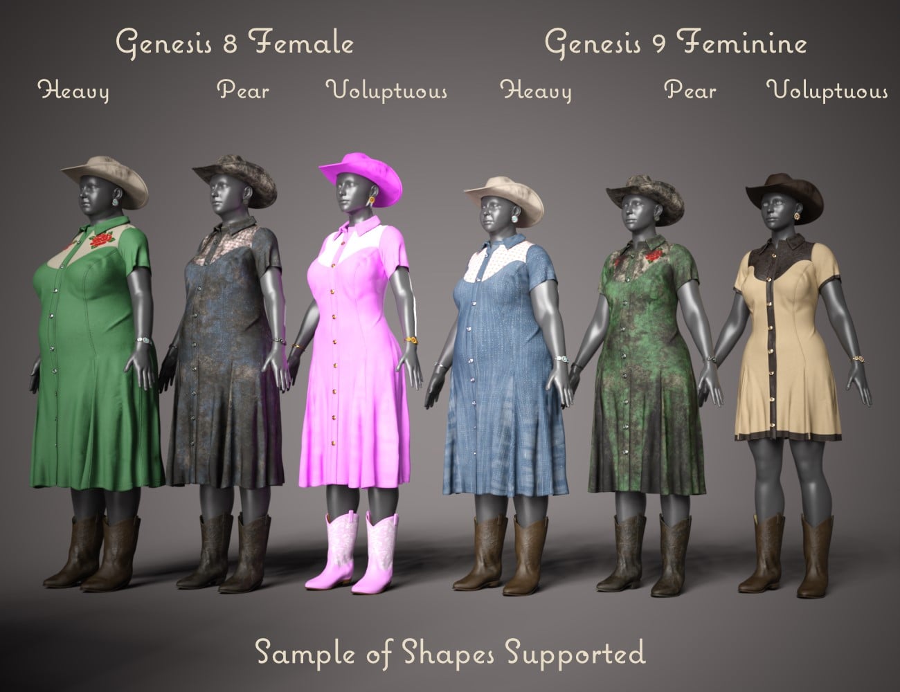 dForce Dale Western Outfit for Genesis 9 and 8 Female | Daz 3D