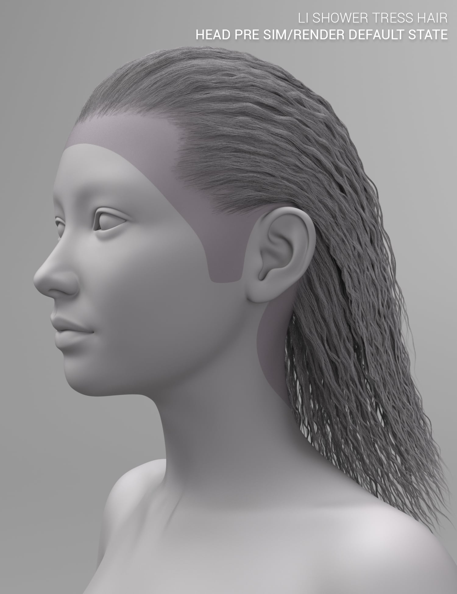 LI dForce Shower Tress Hair for Genesis 9 | Daz 3D