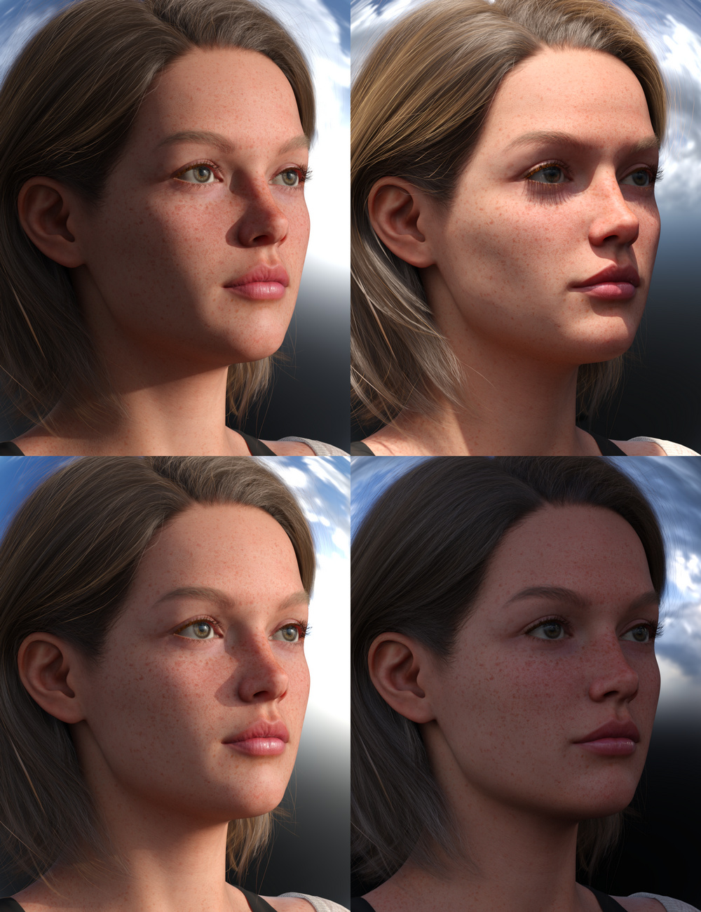 Atmospheric Skies 16k HDRIs with Optimized VDB Haze | Daz 3D