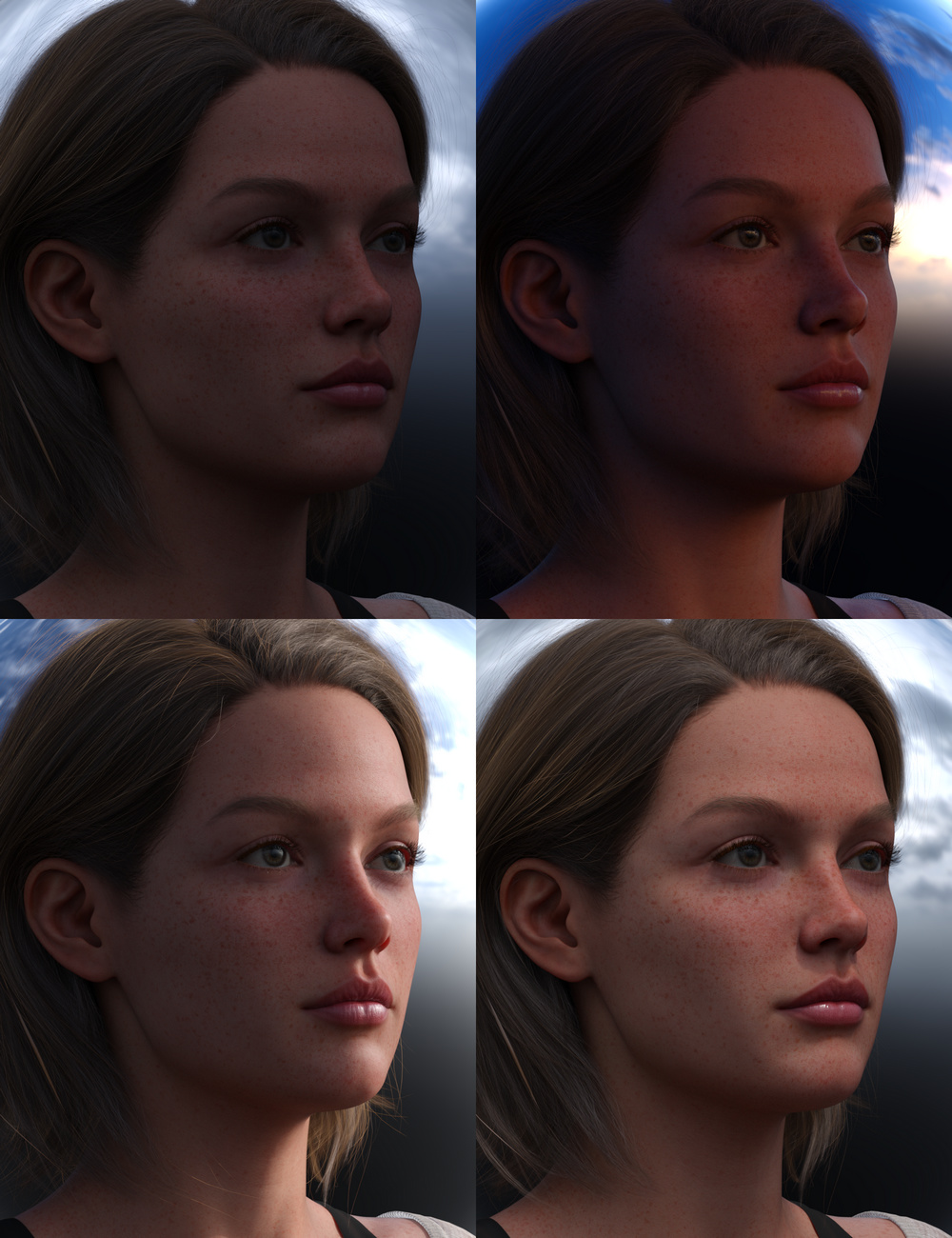 Atmospheric Skies 16k HDRIs with Optimized VDB Haze | Daz 3D